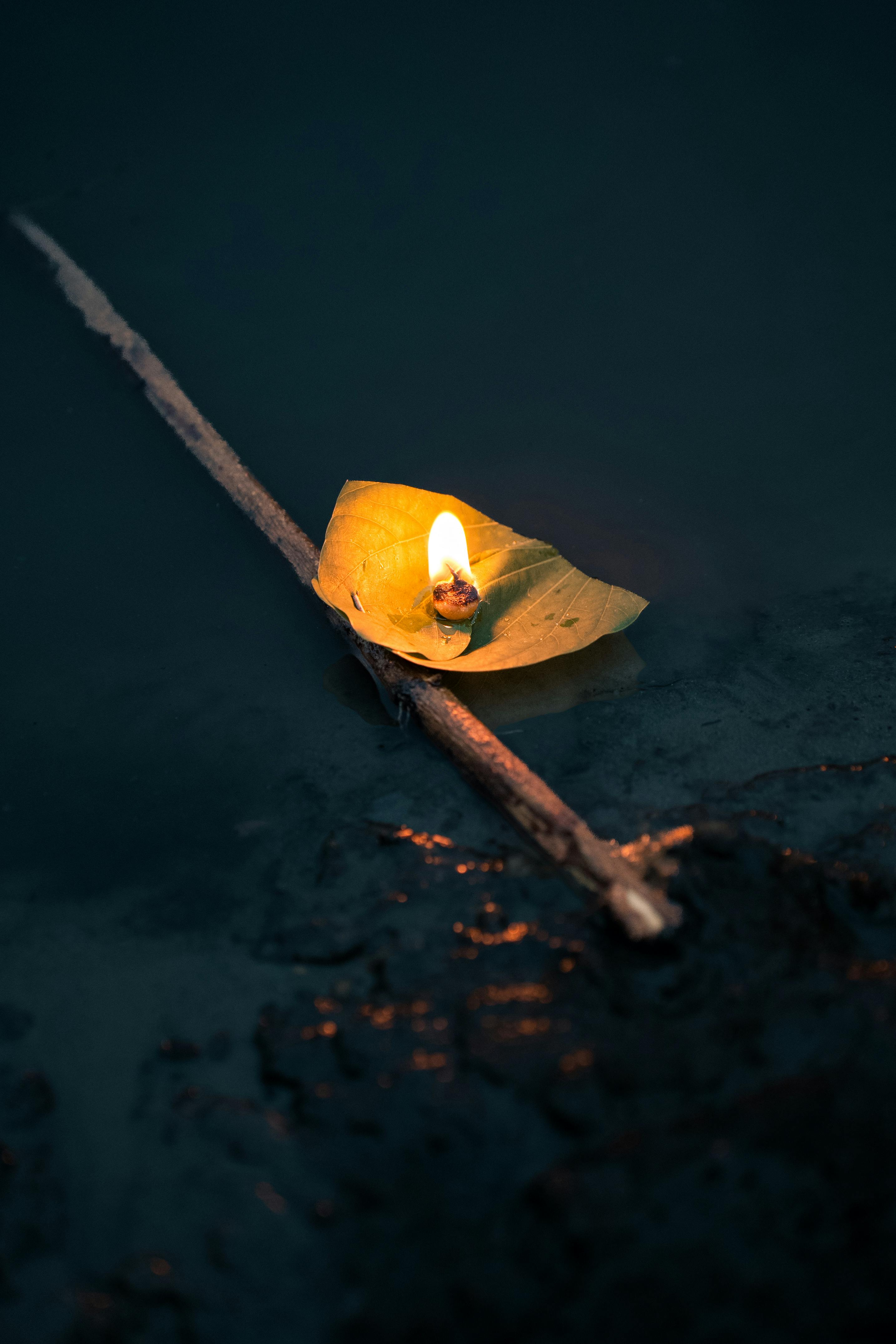 Tihar Festival Photos, Download The BEST Free Tihar Festival Stock ...