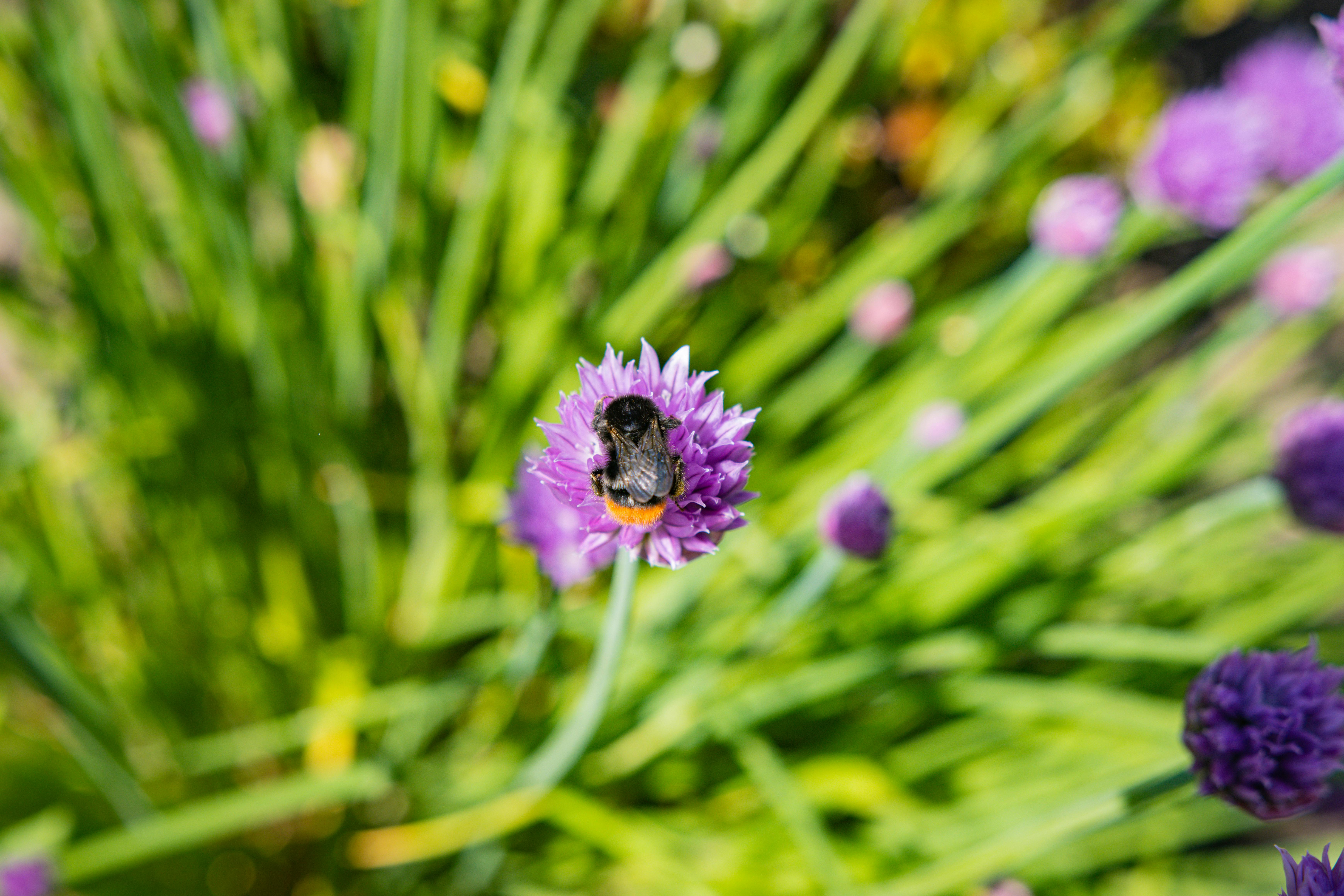 Backyard Graphics Photos, Download The BEST Free Backyard Graphics ...