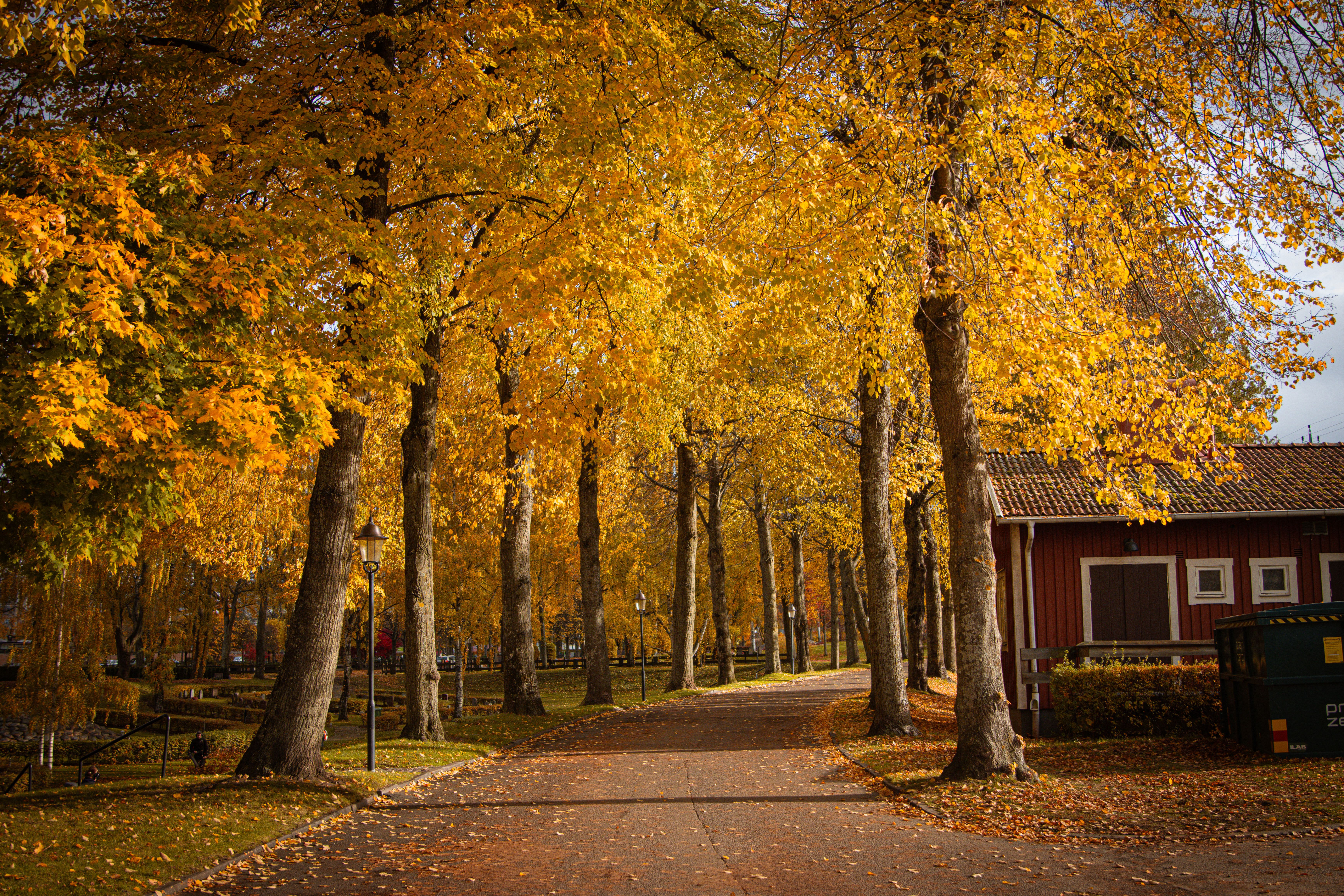 Scandinavia Photos, Download The BEST Free Scandinavia Stock Photos ...