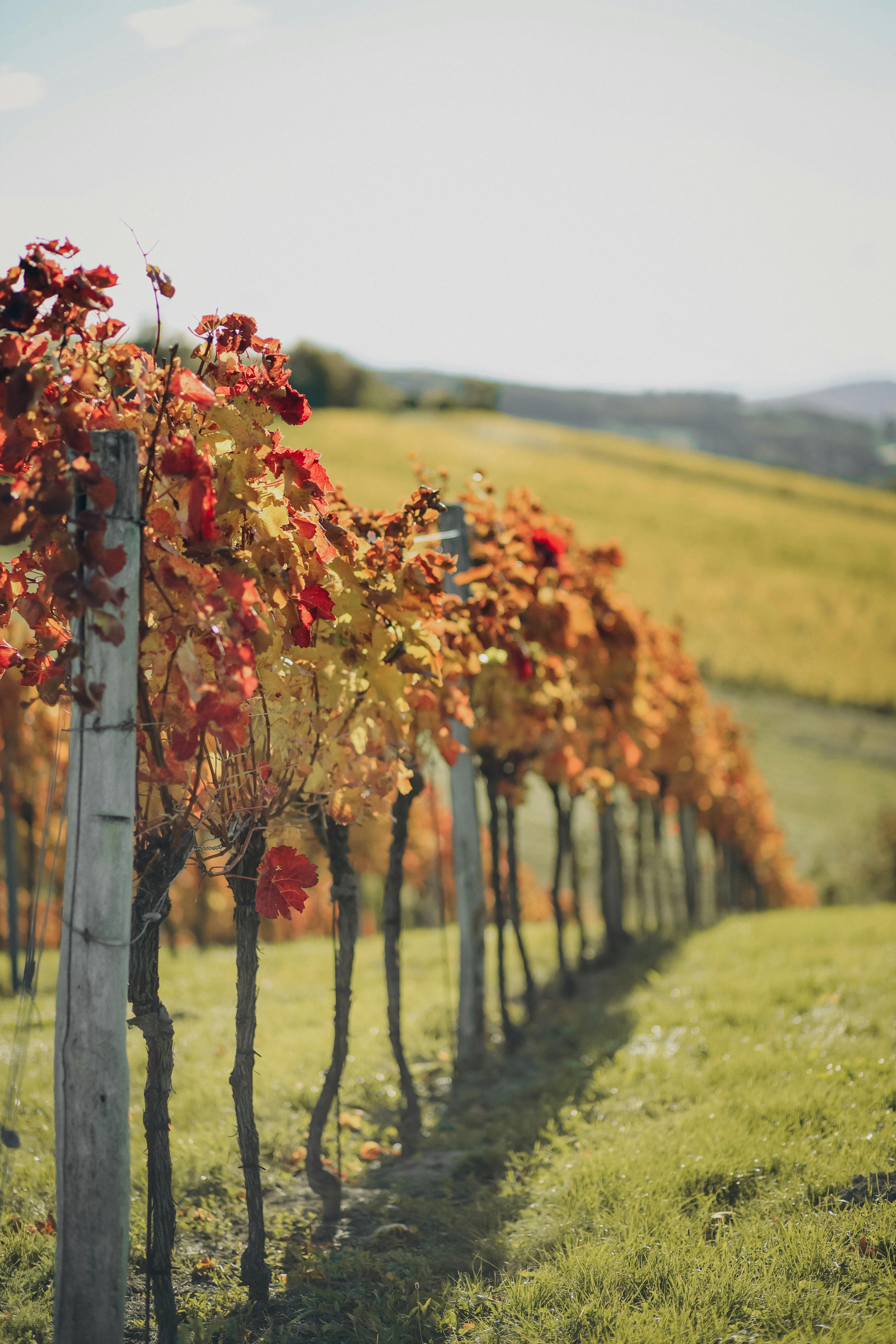 A3 Landscape Photos, Download The BEST Free A3 Landscape Stock Photos ...