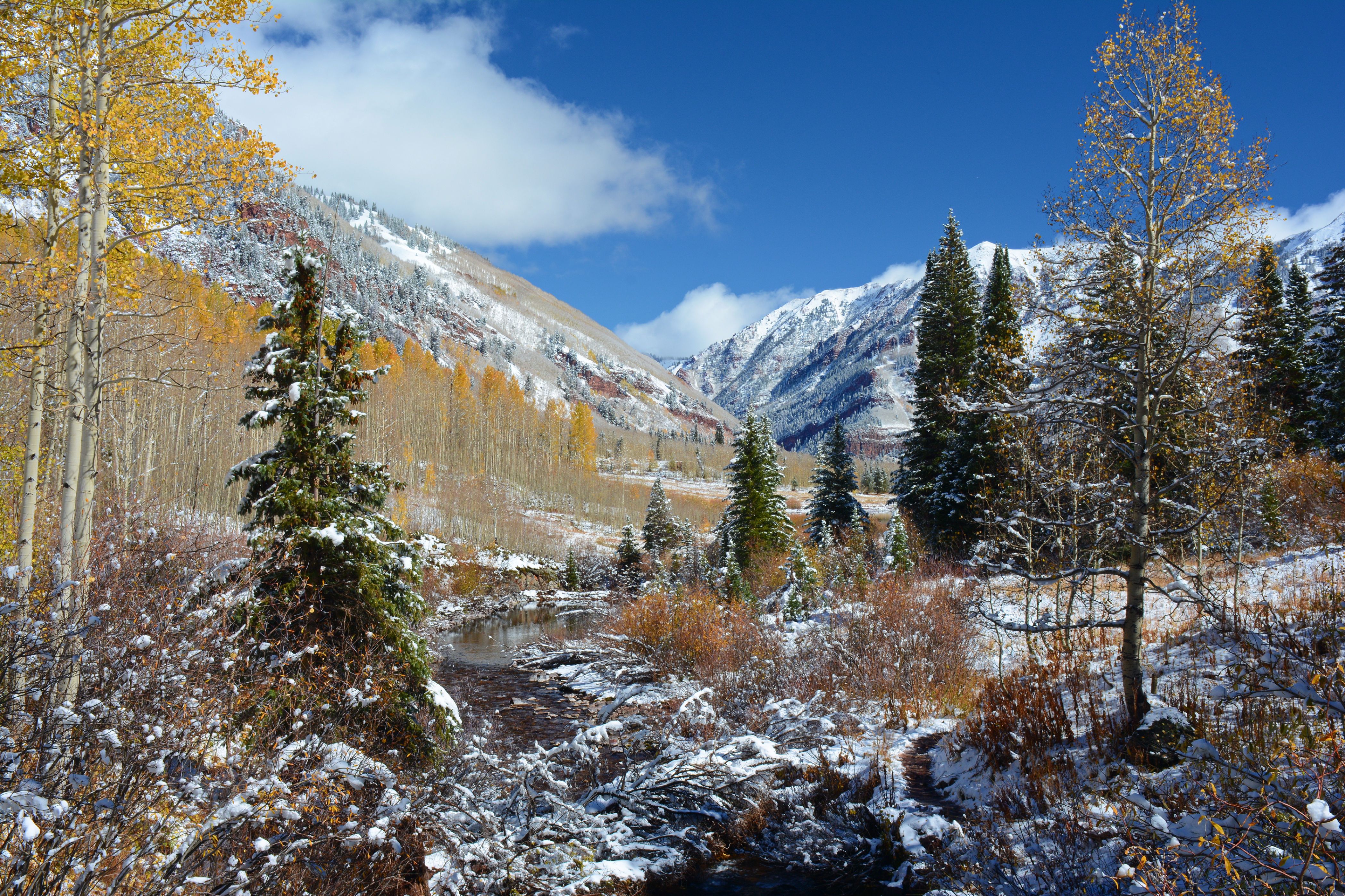 Scenic Aspen Colorado Autumn Landscape with Snow · Free Stock Photo