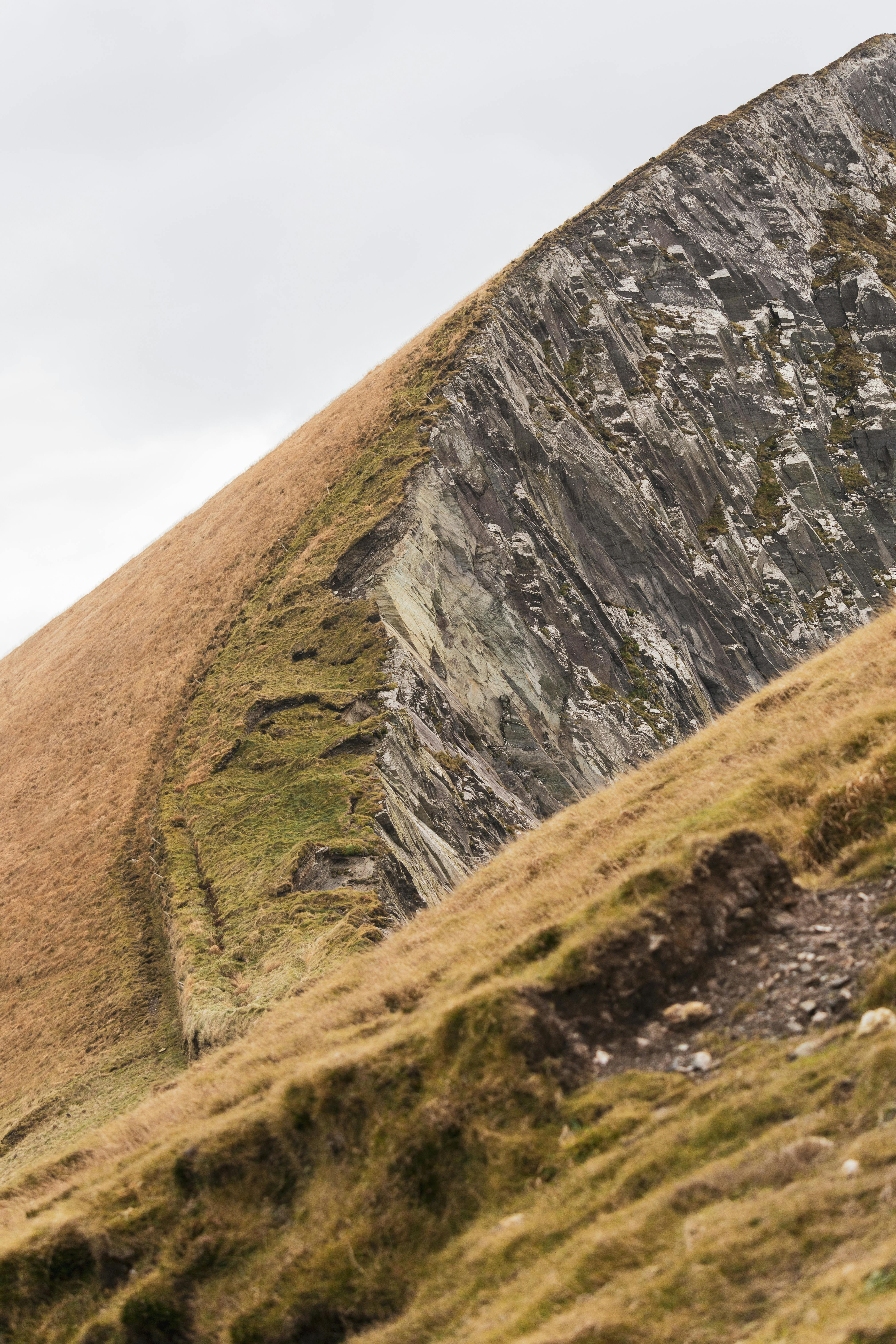 Big+Beautiful+Black+Women Photos, Download The BEST Free Big+Beautiful+Black+Women Stock Photos ...