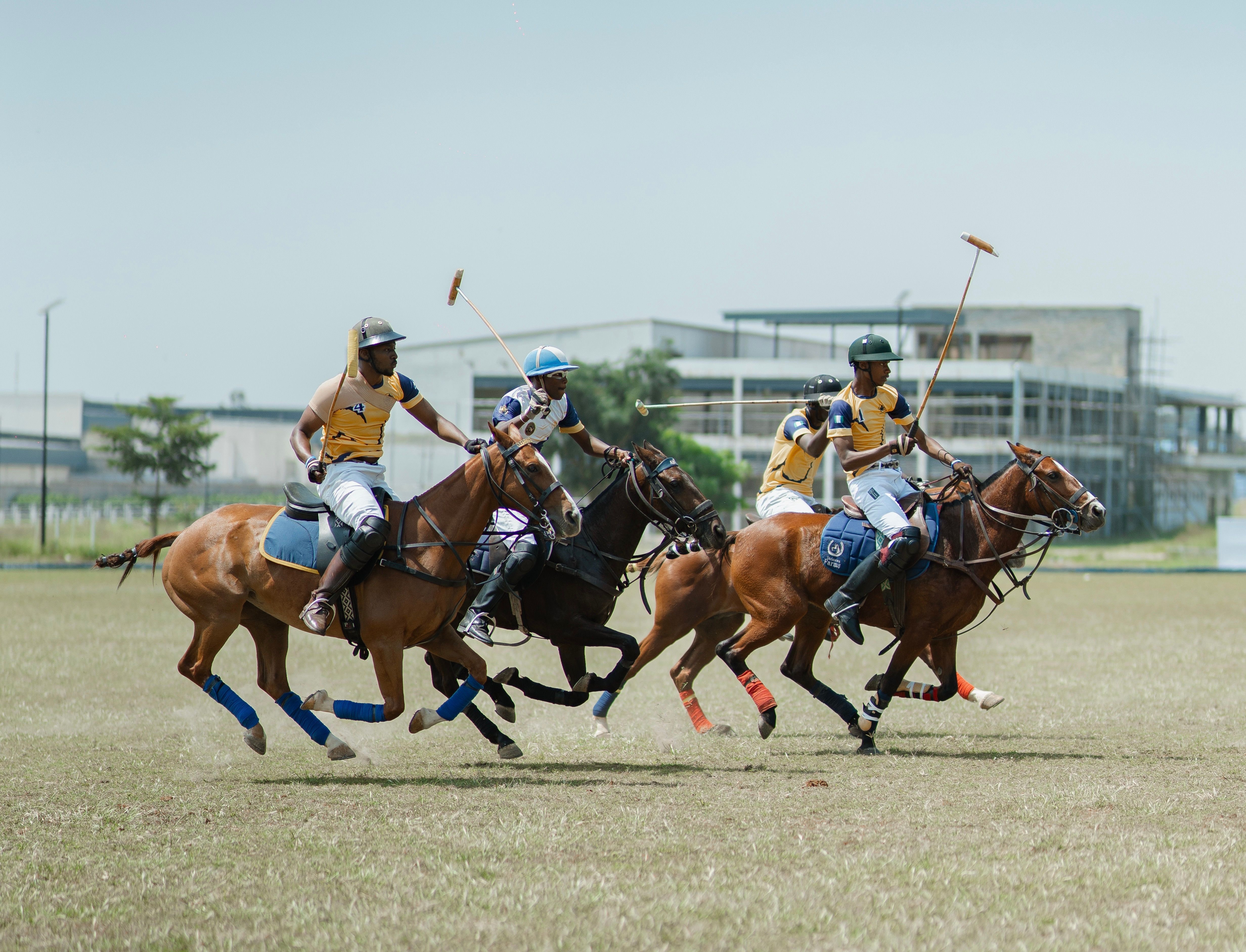 Dynamic Polo Match in Kaduna, Nigeria · Free Stock Photo