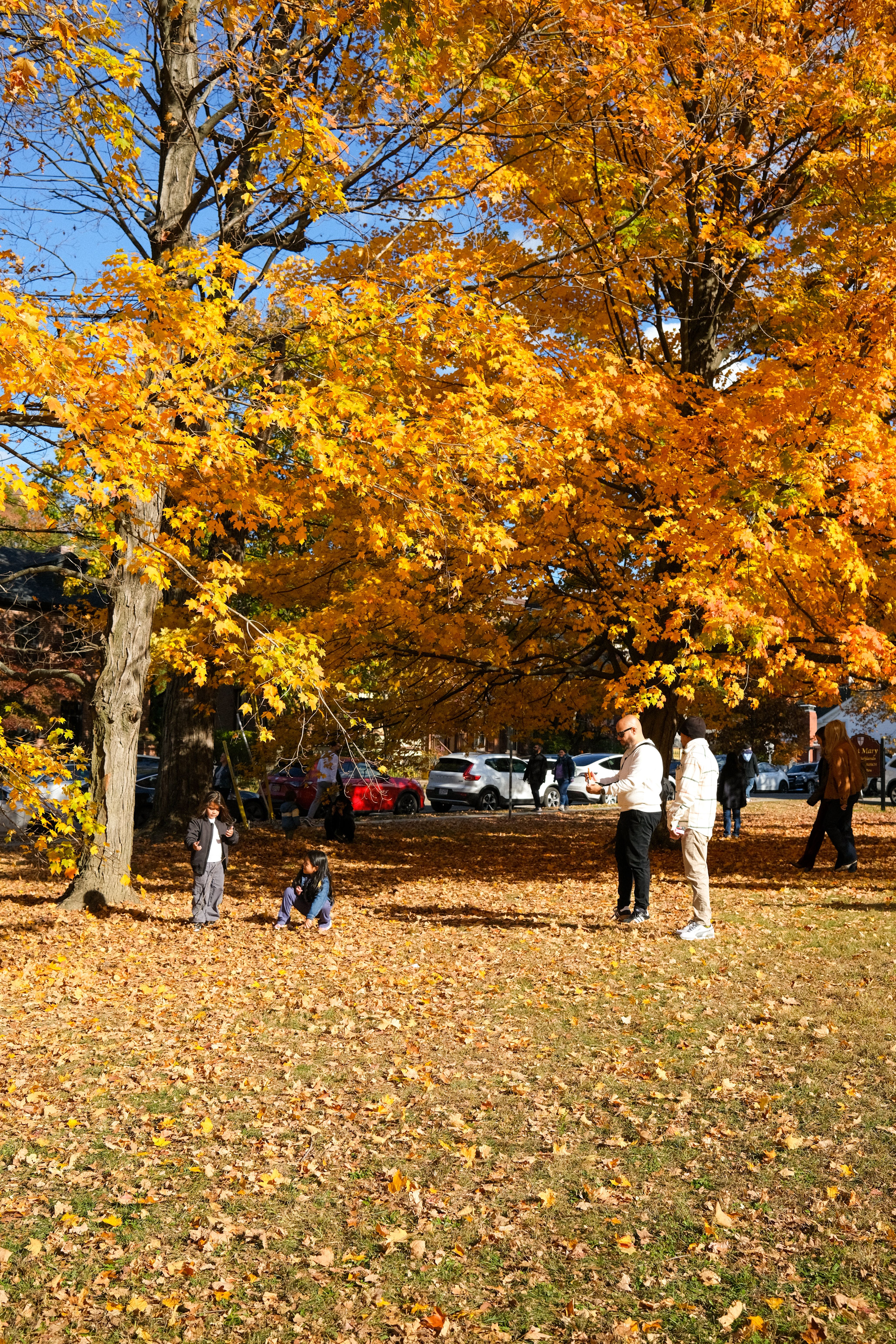 Vibrant Fall Day in a Park with People Enjoying Nature · Free Stock Photo