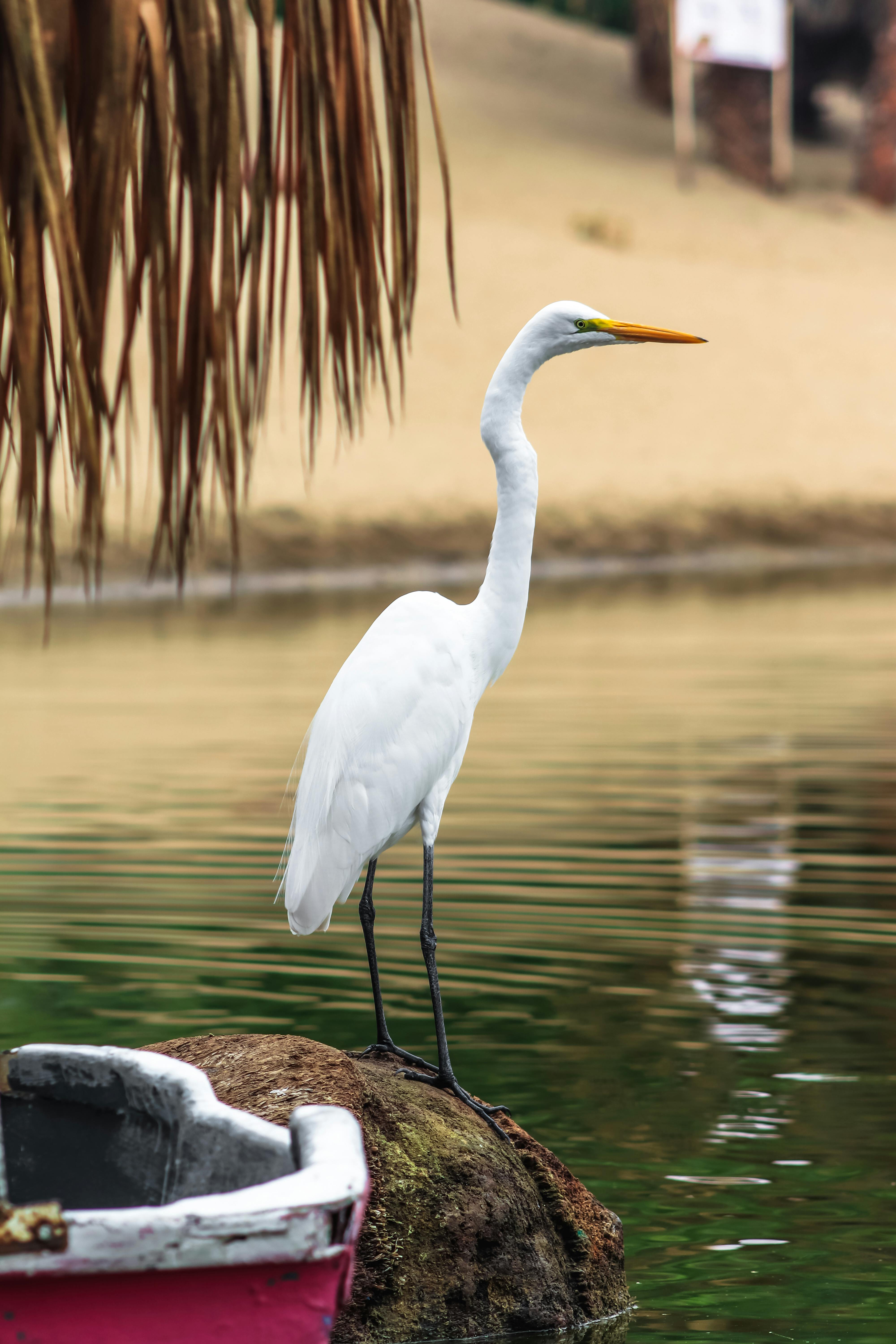 Romantic+Kisses+On+Neck+Gif Photos, Download The BEST Free Romantic ...