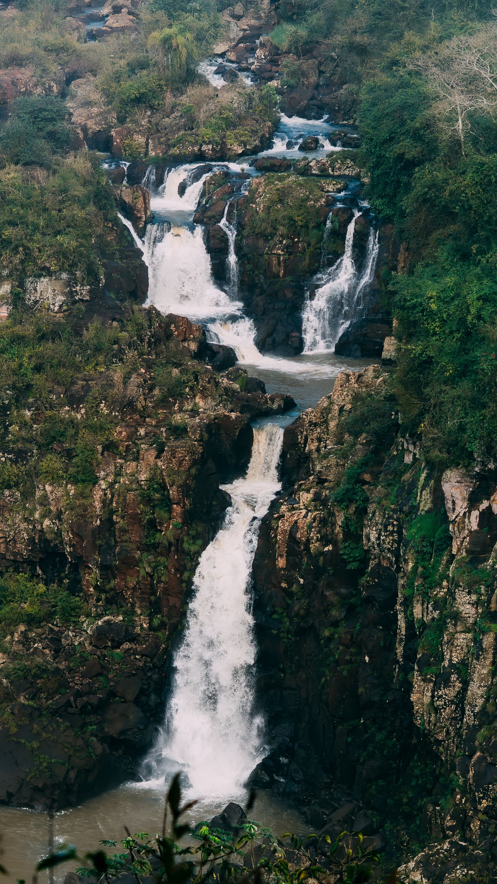 Rainforest Waterfall Photos, Download The BEST Free Rainforest ...
