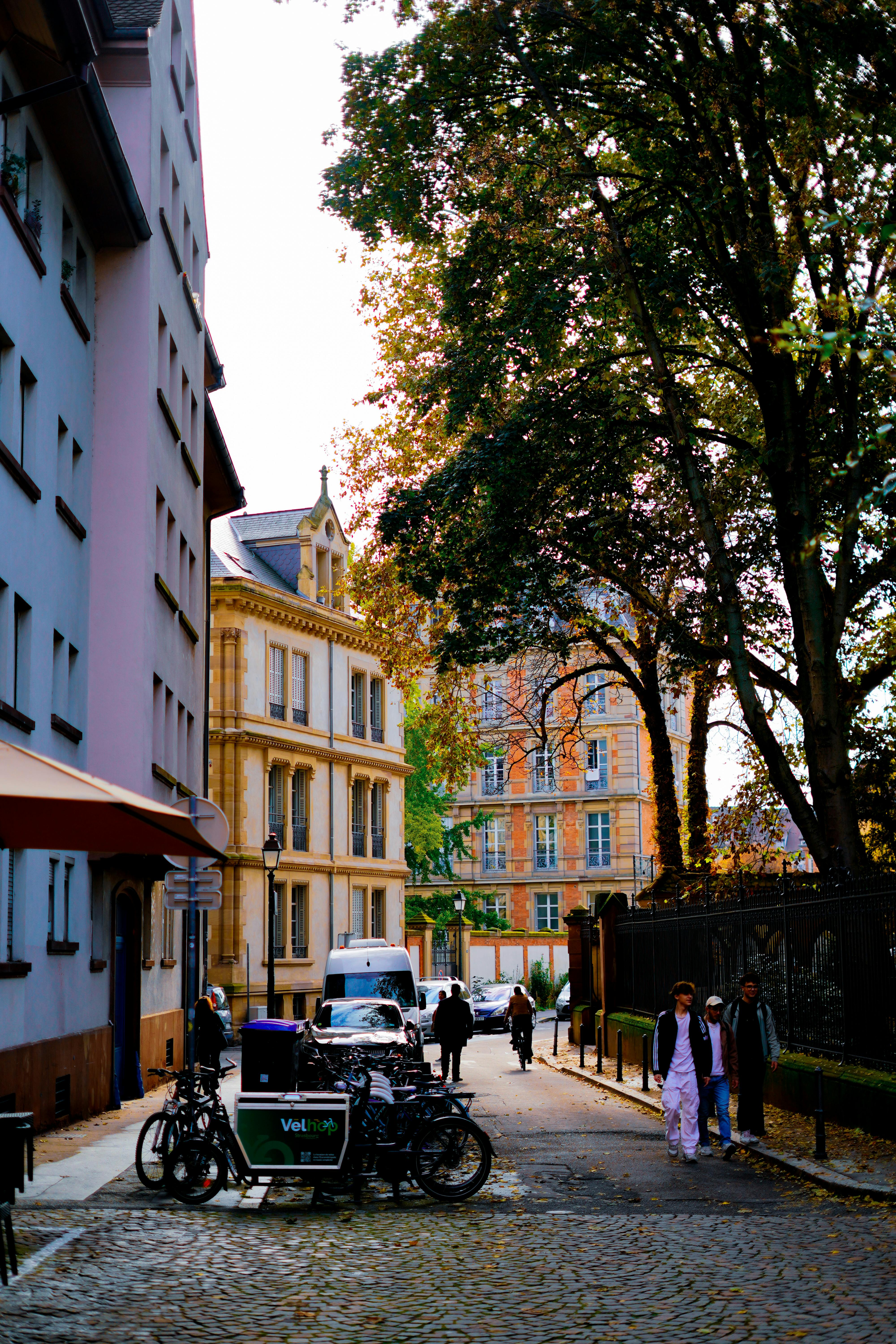 Romantic+Kisses+On+Neck+Gif Photos, Download The BEST Free Romantic ...