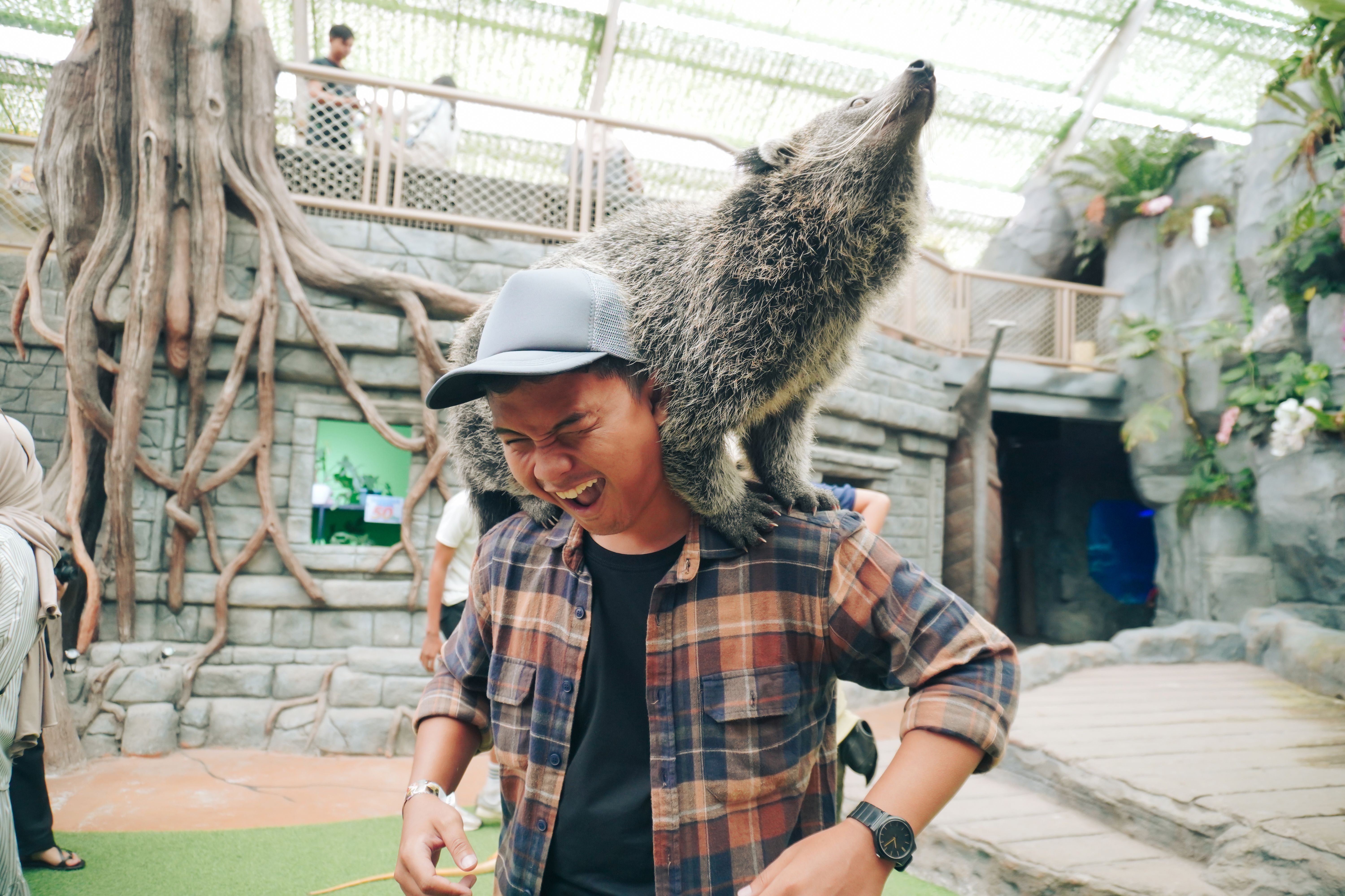 Funny Human Photos, Download The BEST Free Funny Human Stock Photos ...