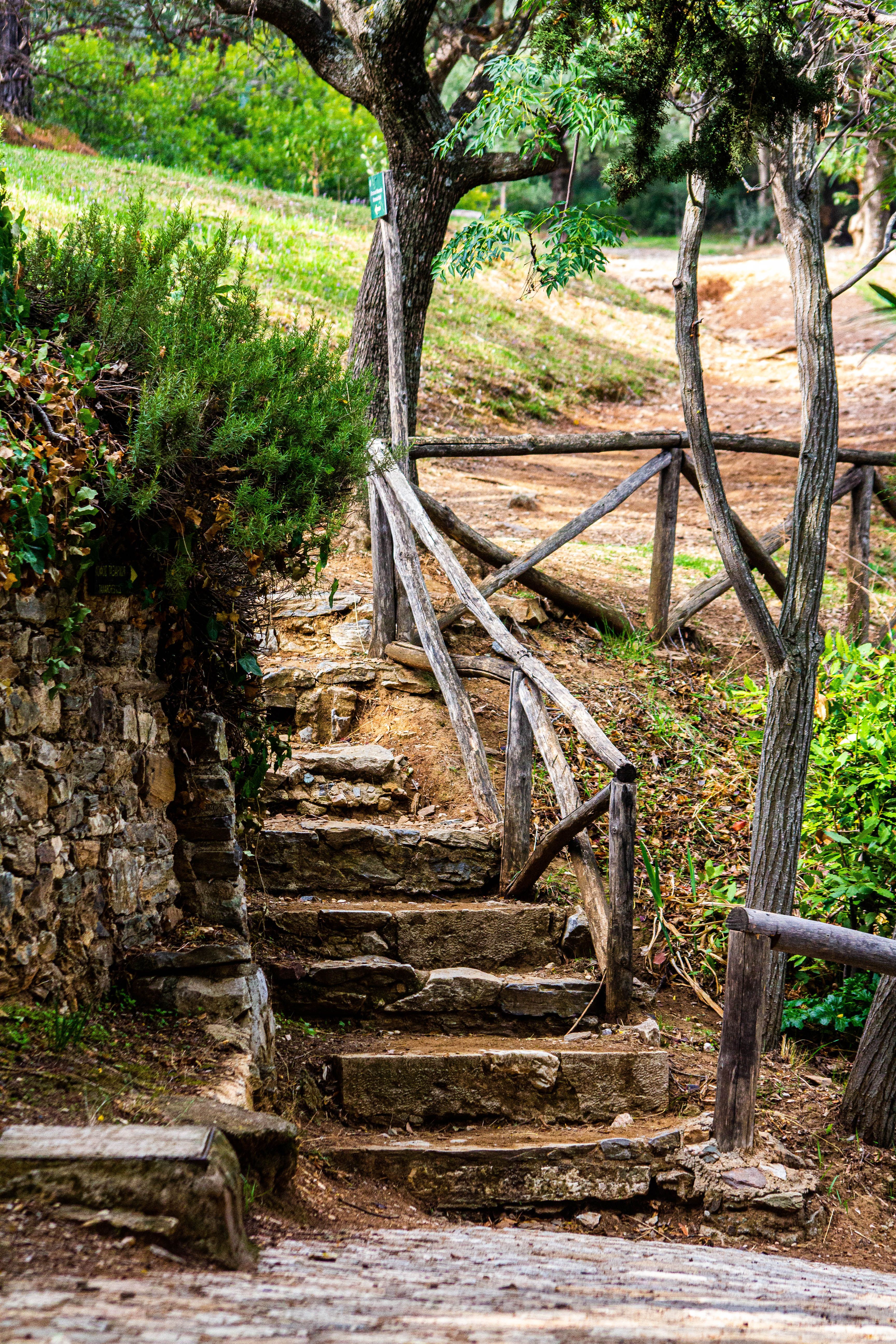 Rustic Stone Staircase in Lush Woodland Setting · Free Stock Photo