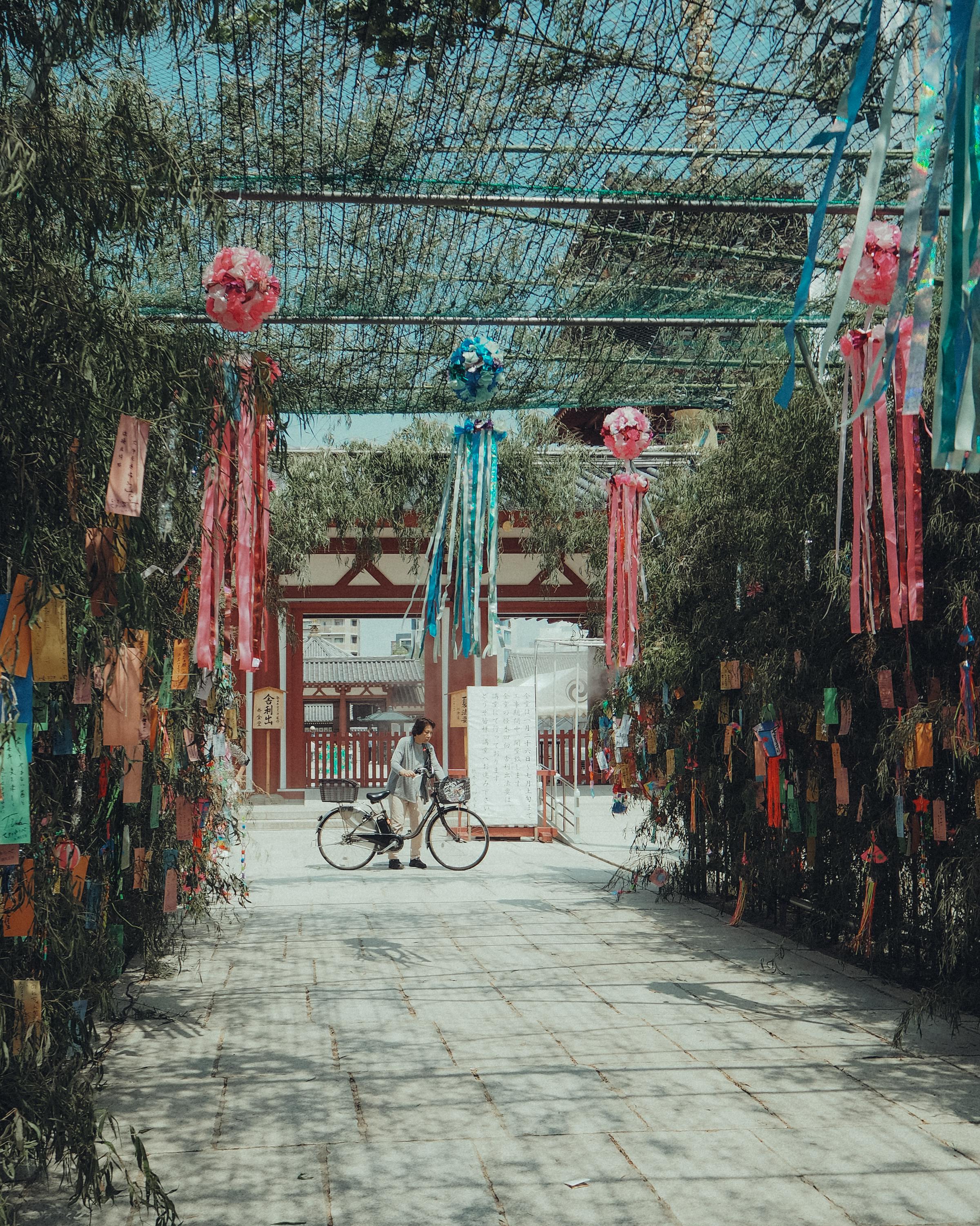 Tihar Festival Photos, Download The BEST Free Tihar Festival Stock ...