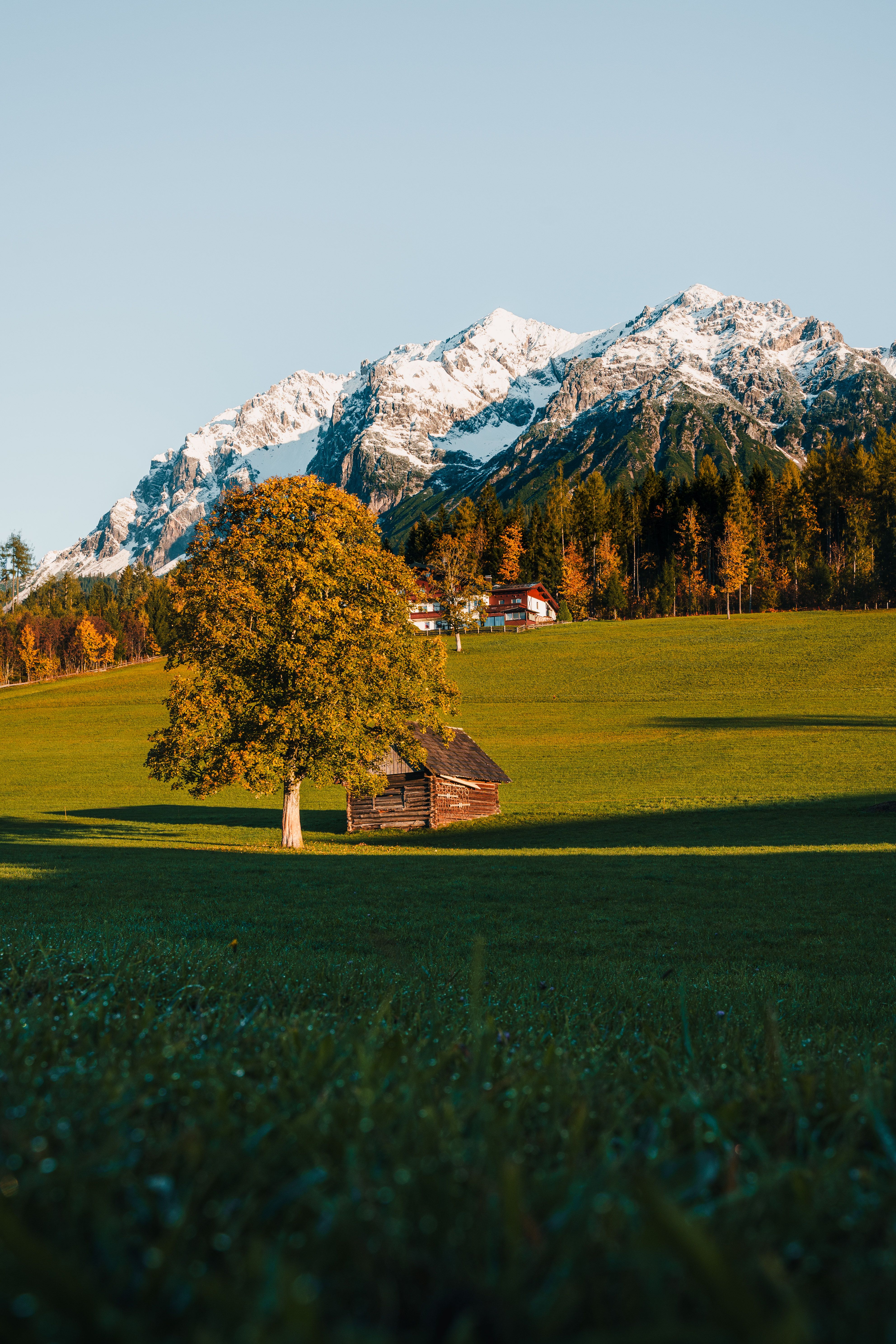 Scenic Autumn Landscape in Styria, Austria · Free Stock Photo