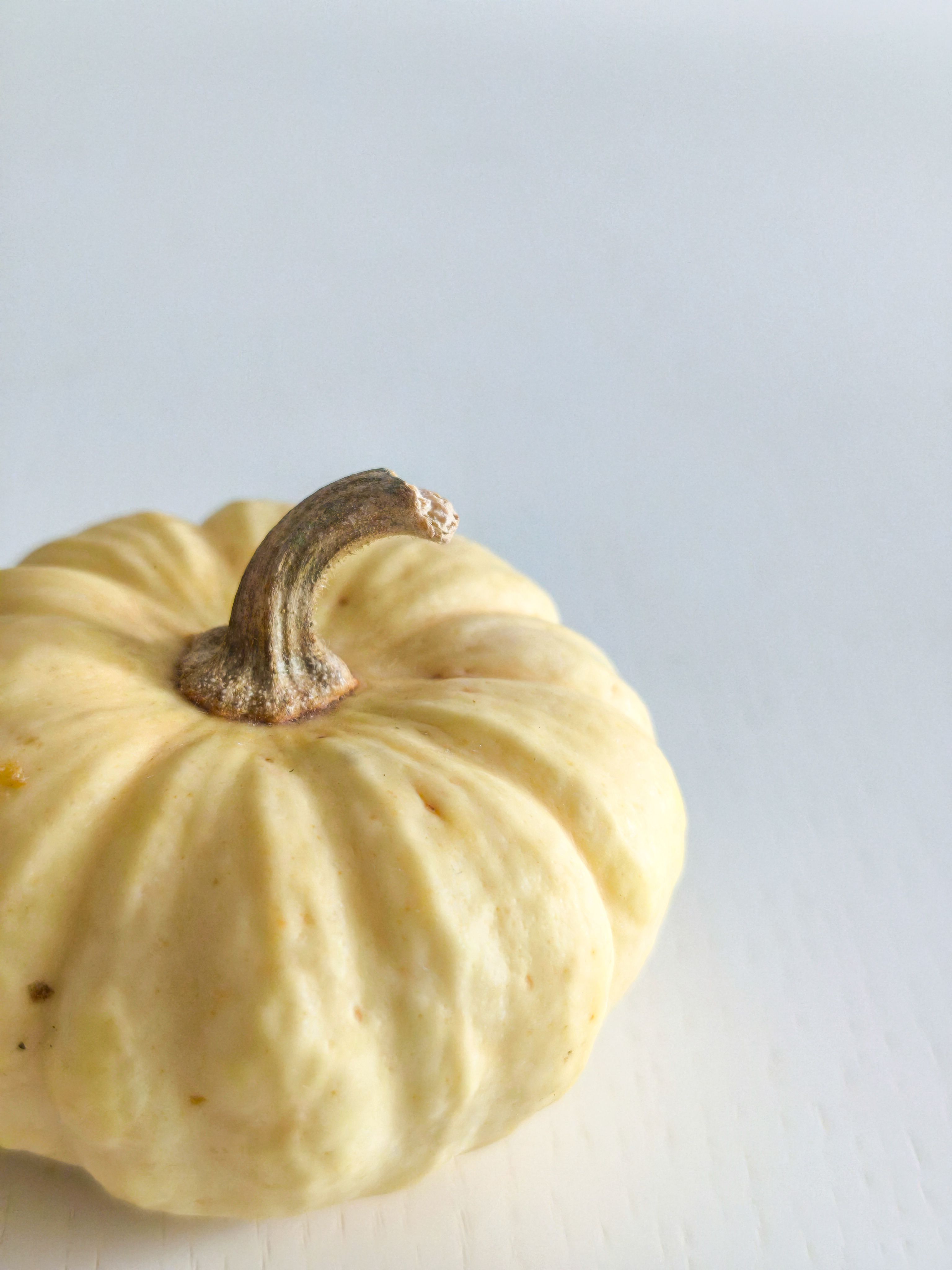 Minimalist Close-up of a Small White Pumpkin · Free Stock Photo