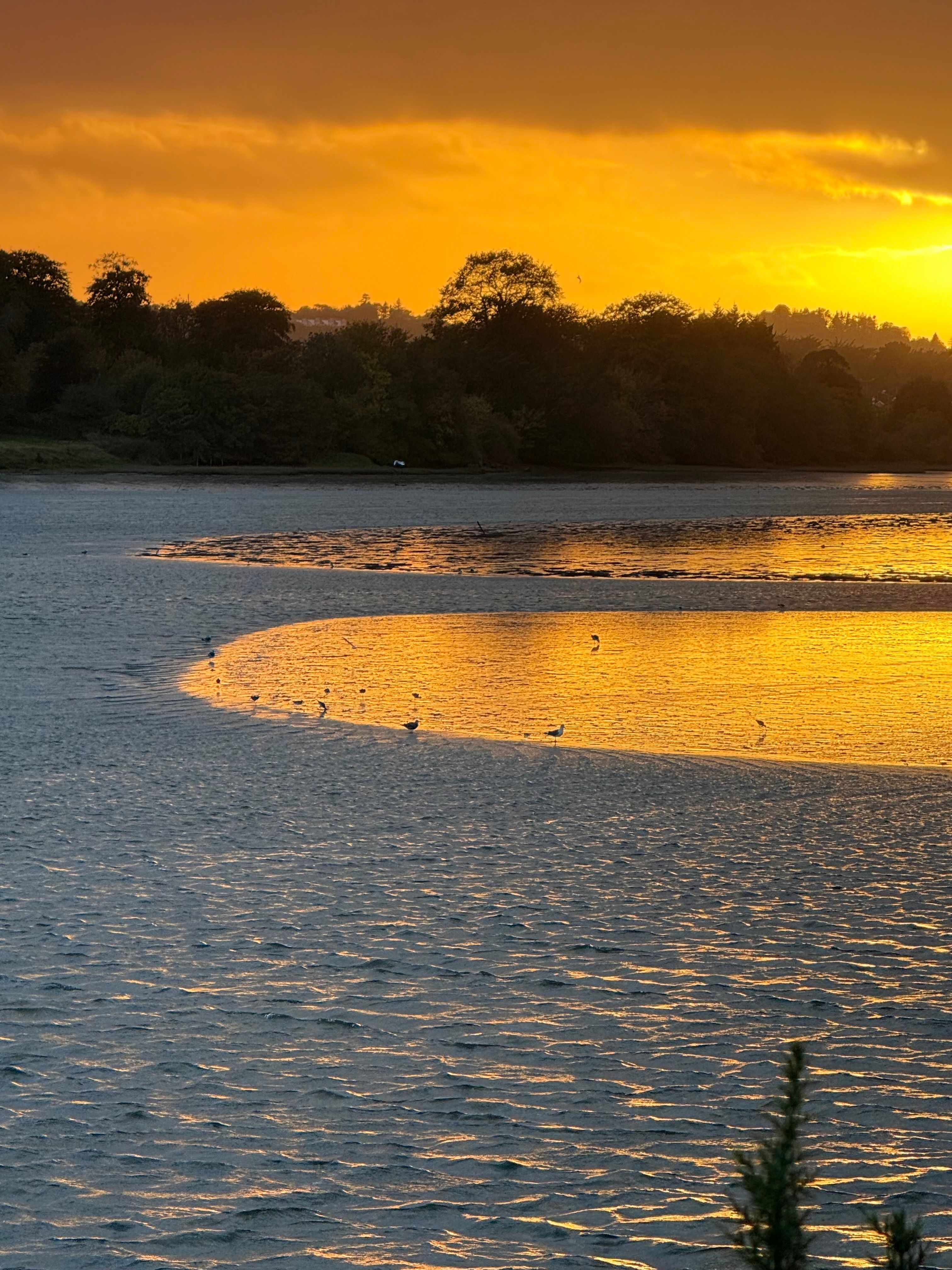 Sunsets Over Water Photos, Download The BEST Free Sunsets Over Water ...