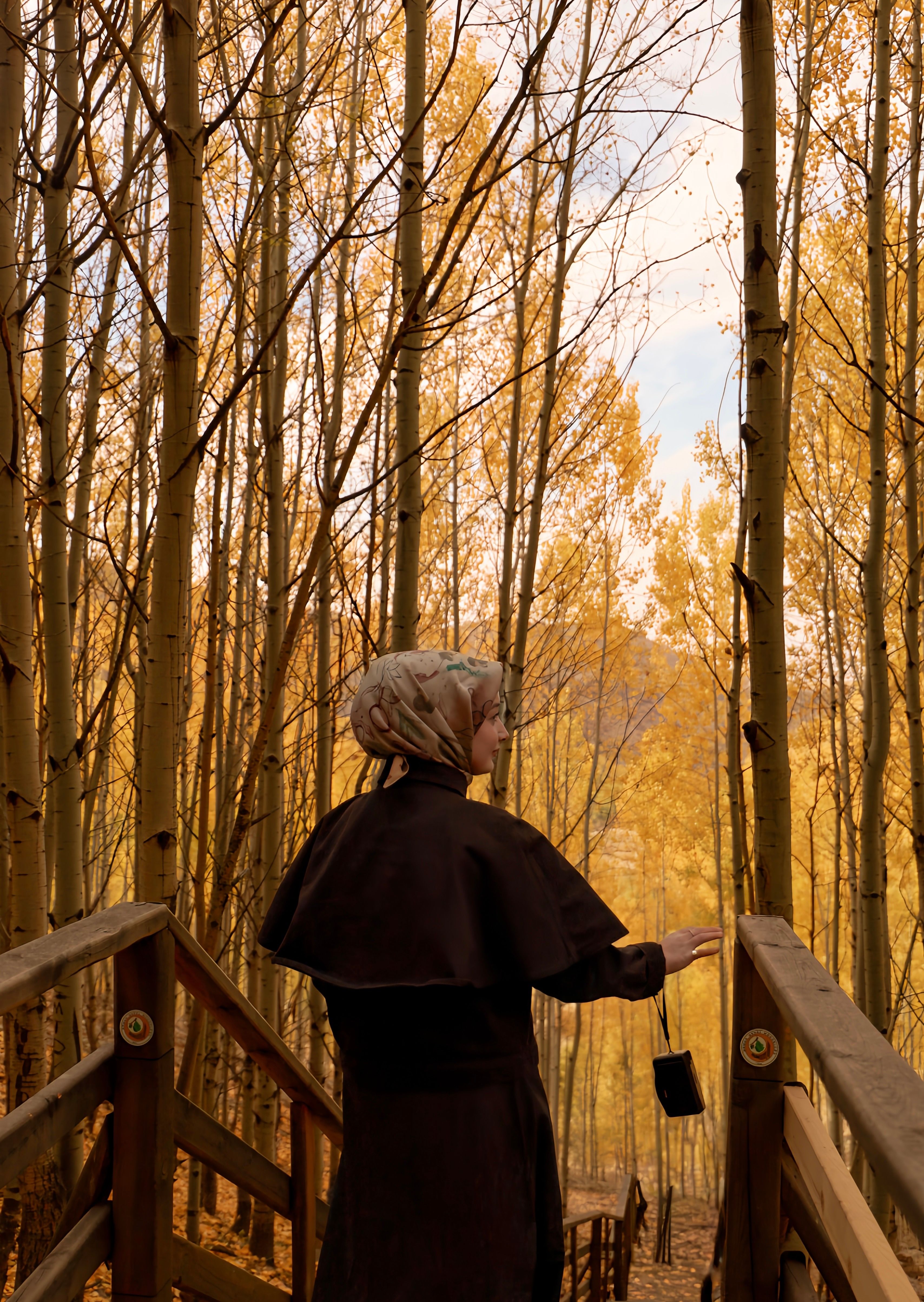 Autumn Walkway through Turkish Forest · Free Stock Photo