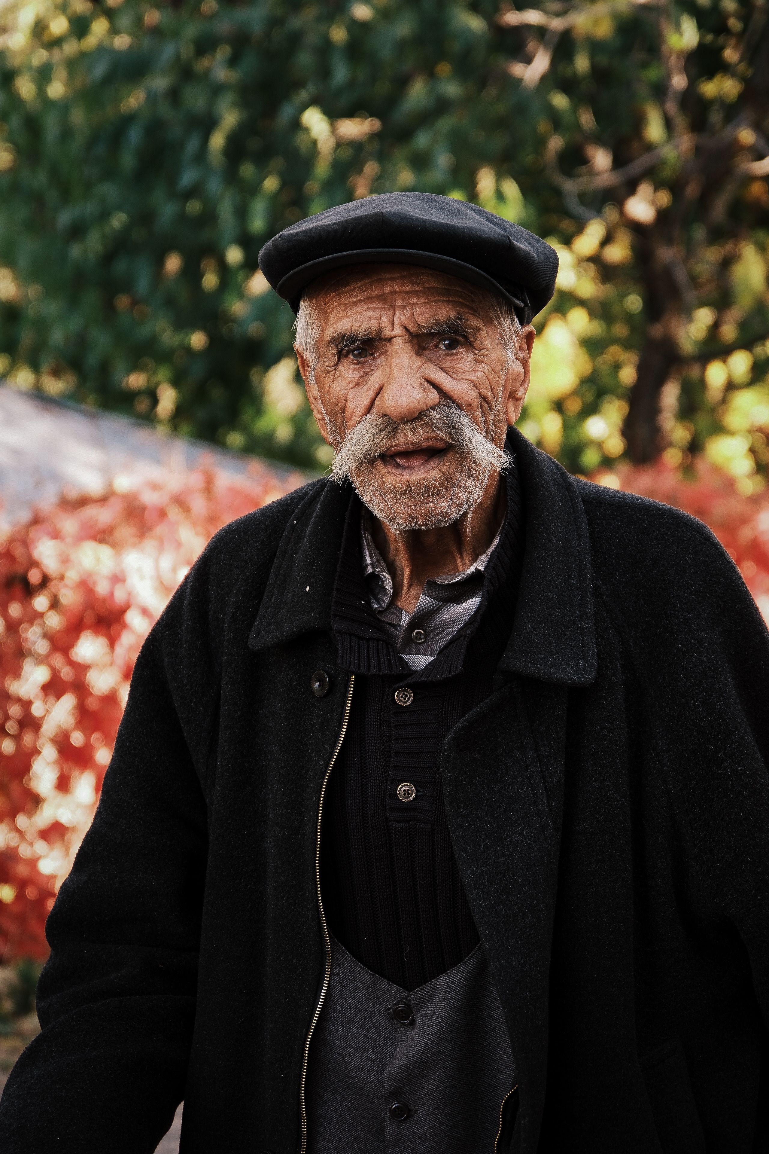 Old Man With Mustache Photos, Download The BEST Free Old Man With ...