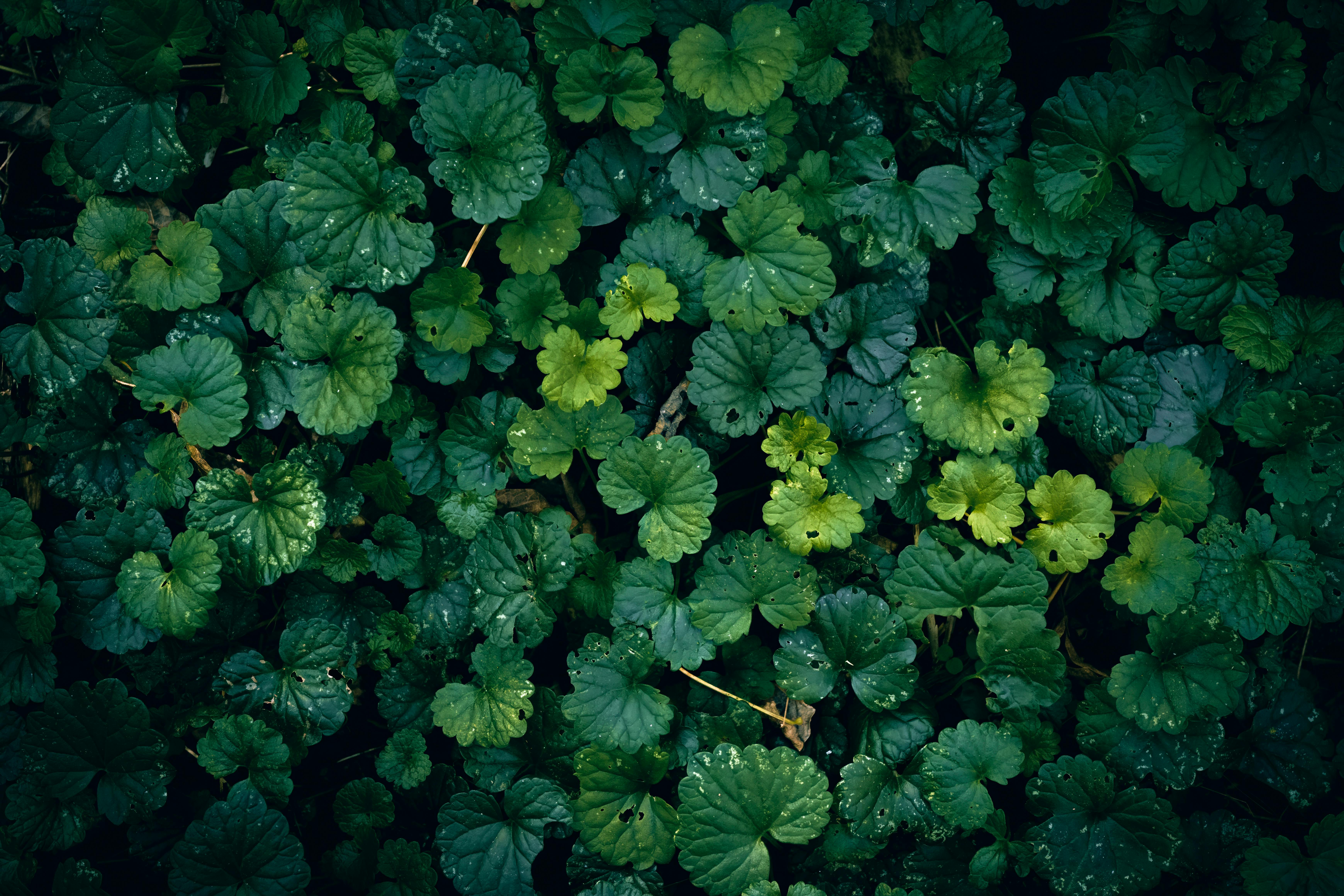 6+7+Wallpaper Photos, Download The BEST Free 6+7+Wallpaper Stock Photos ...