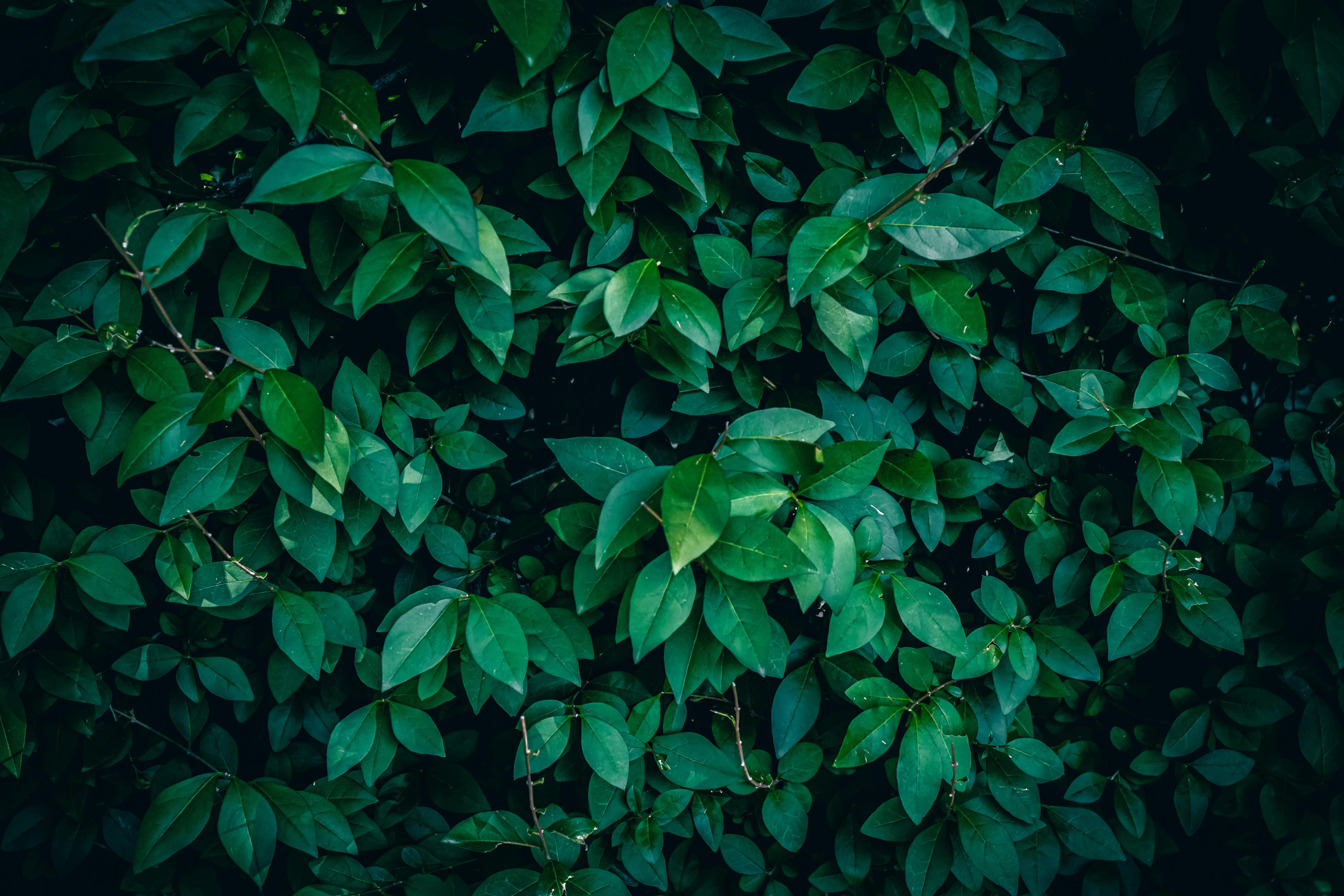 6+7+Wallpaper Photos, Download The BEST Free 6+7+Wallpaper Stock Photos ...