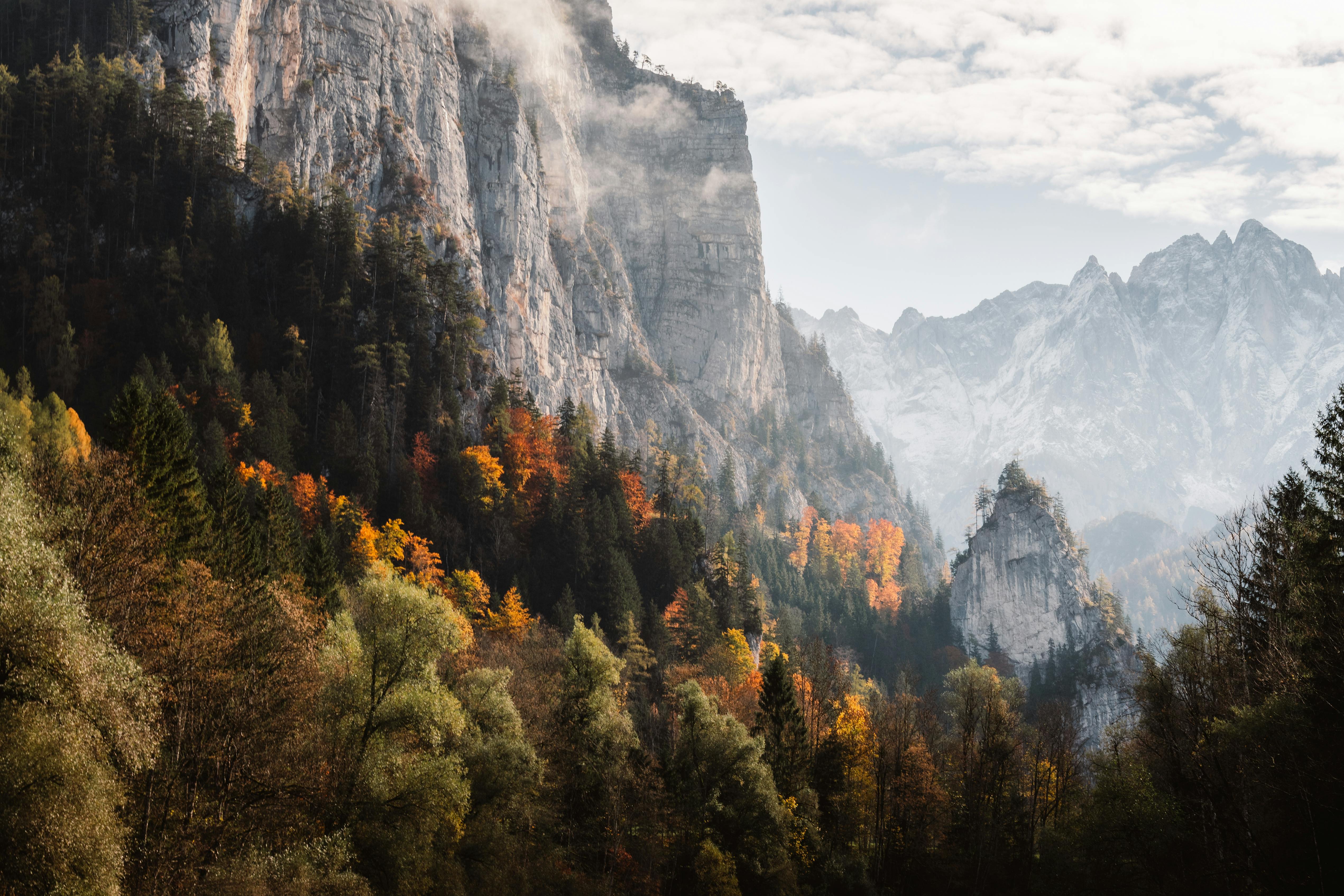 50.000+ Foto Jomok Wallpaper Terbaik · Unduh Gratis 100% · Foto Stok Pexels