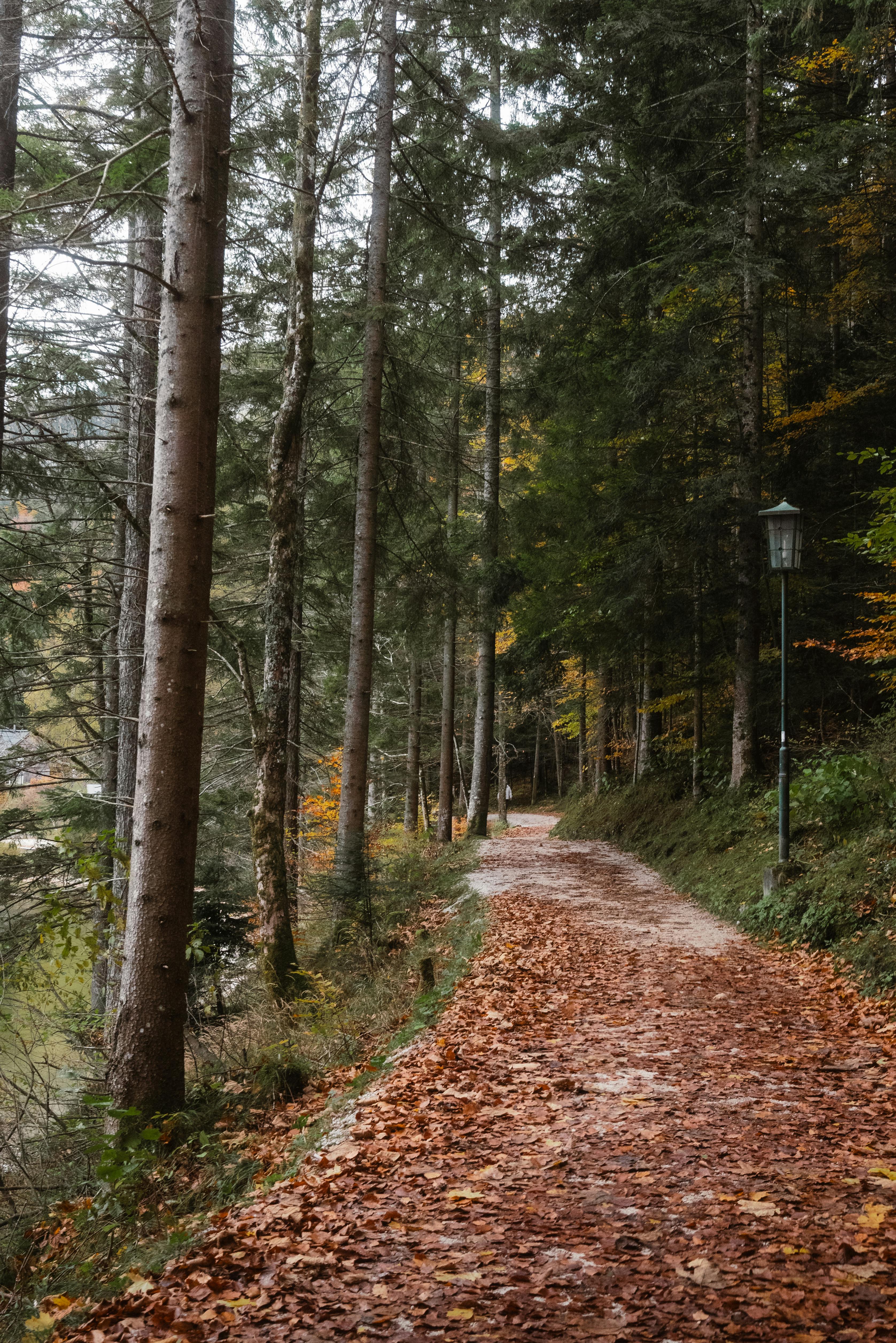 Vtu+Logo+Images Photos, Download The BEST Free Vtu+Logo+Images Stock ...