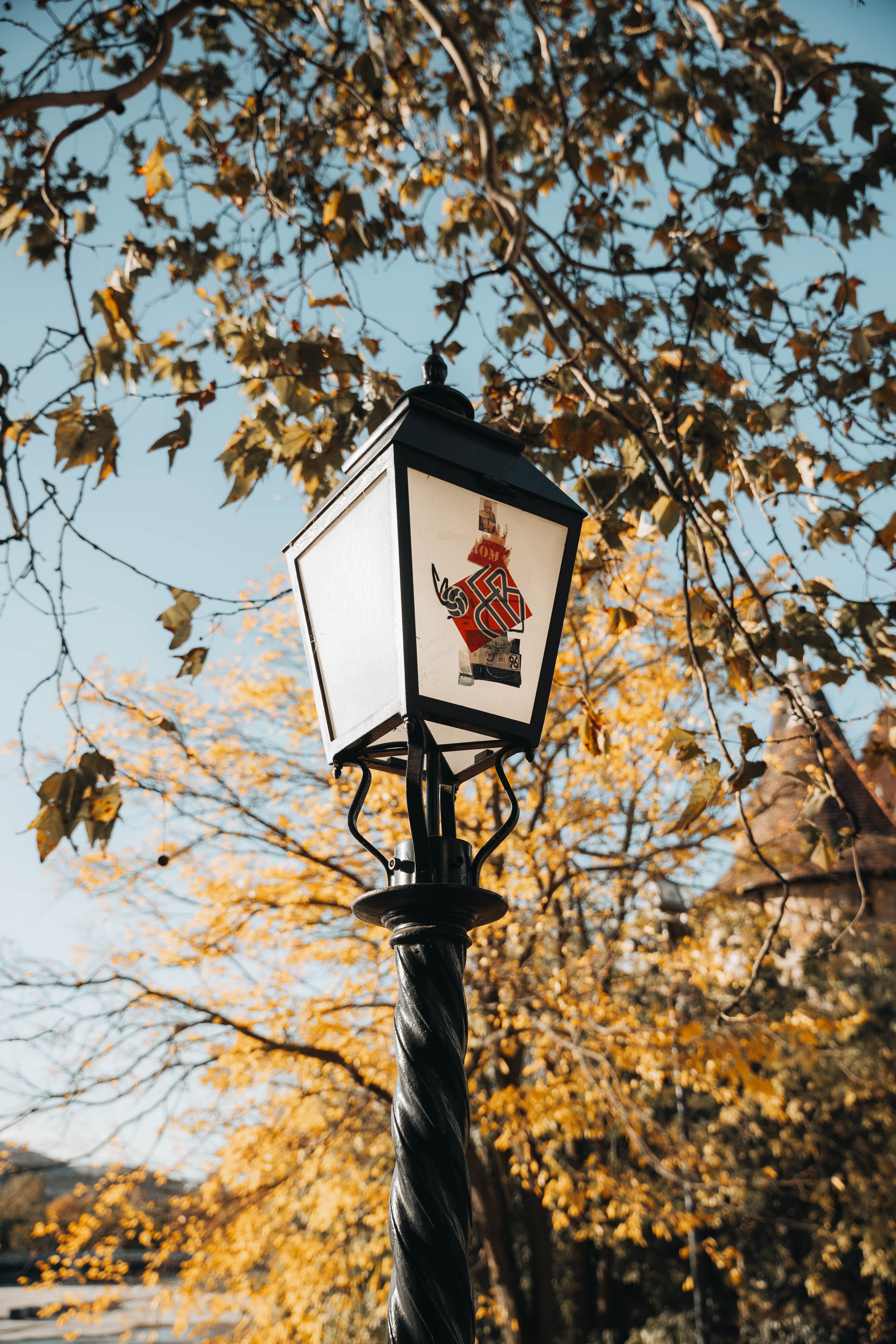 Rustic Lamp Post Amid Autumn Trees · Free Stock Photo