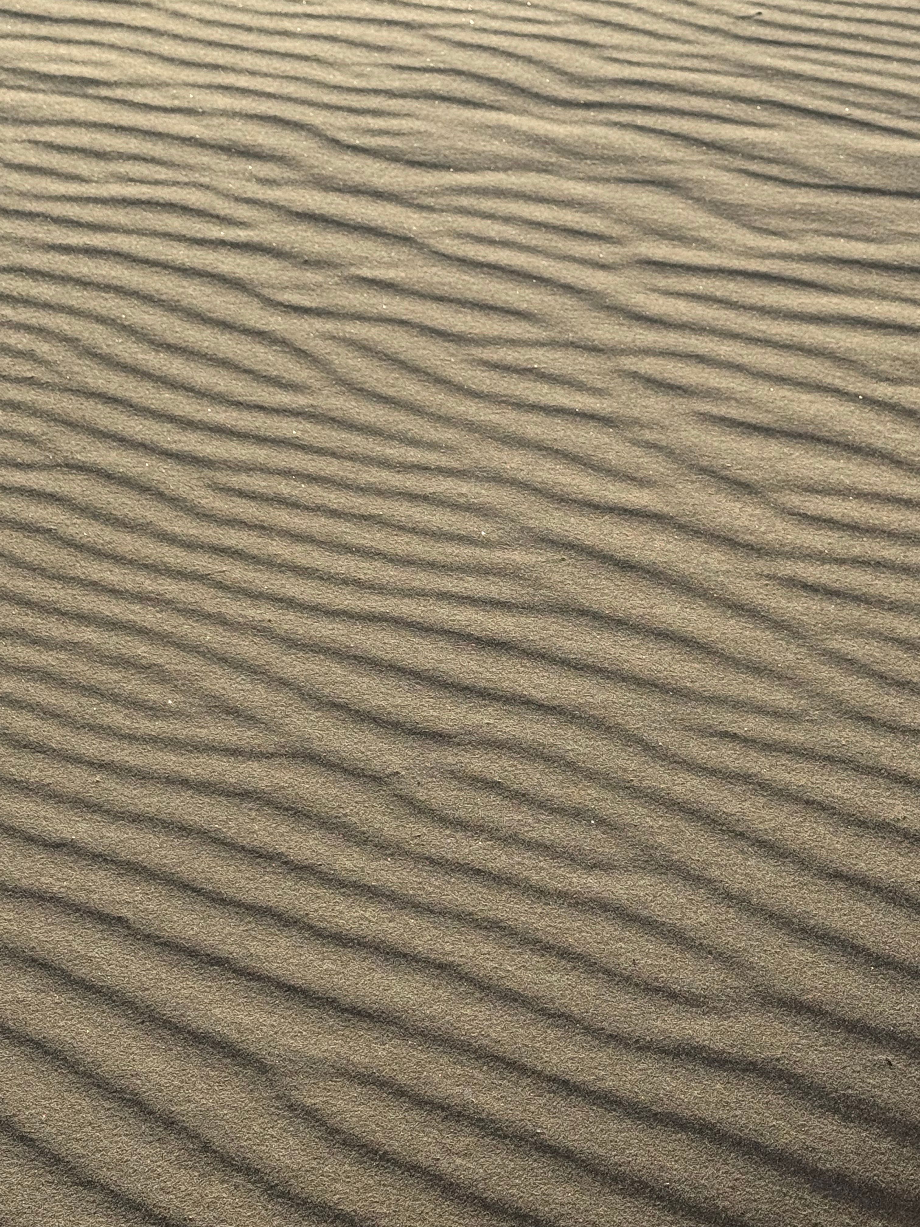 Photo gratuite de bord de mer, brise de mer, calme, courbe naturelle ...