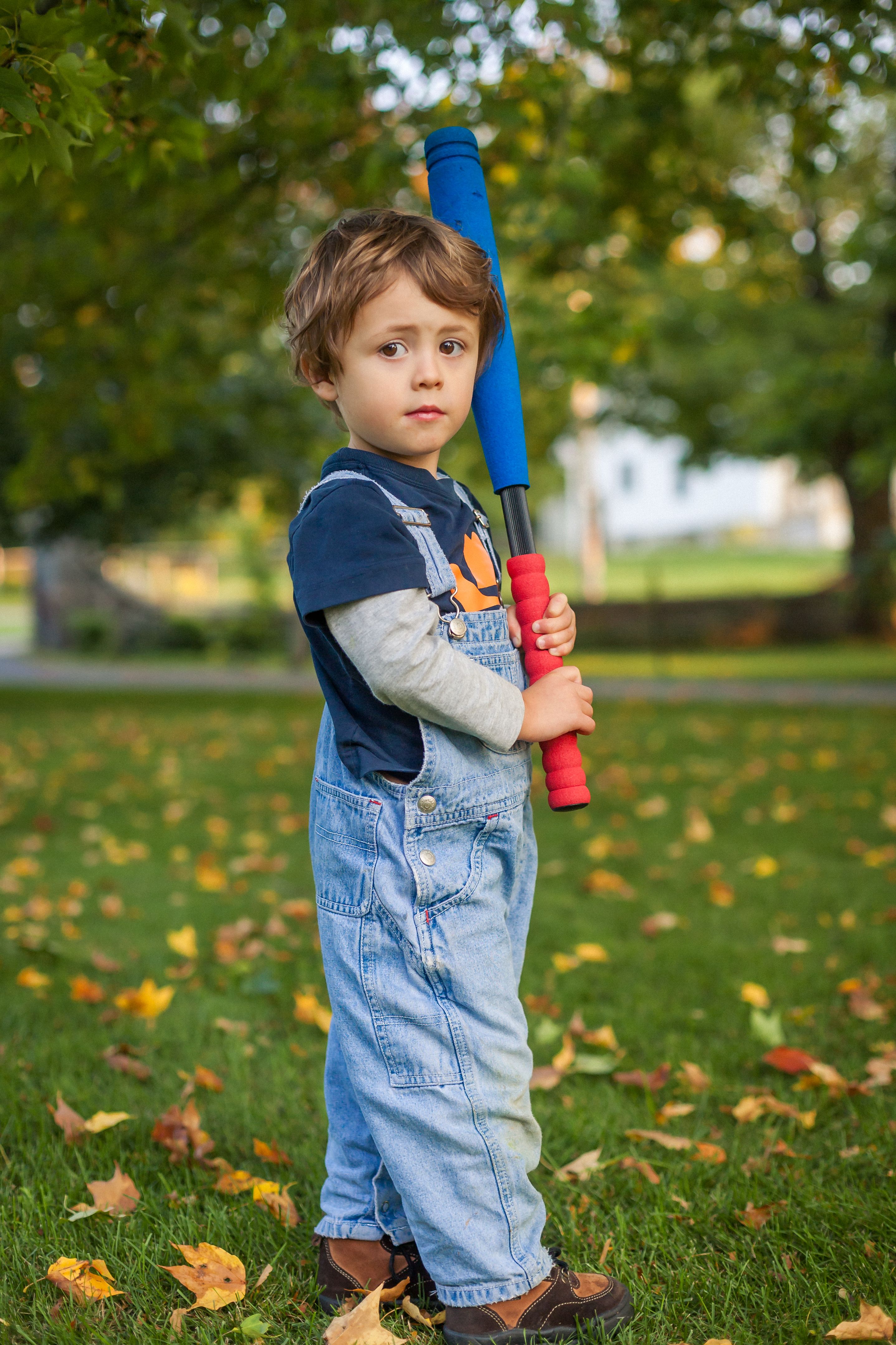 Young Child Holding Baseball Bat in Park · Free Stock Photo
