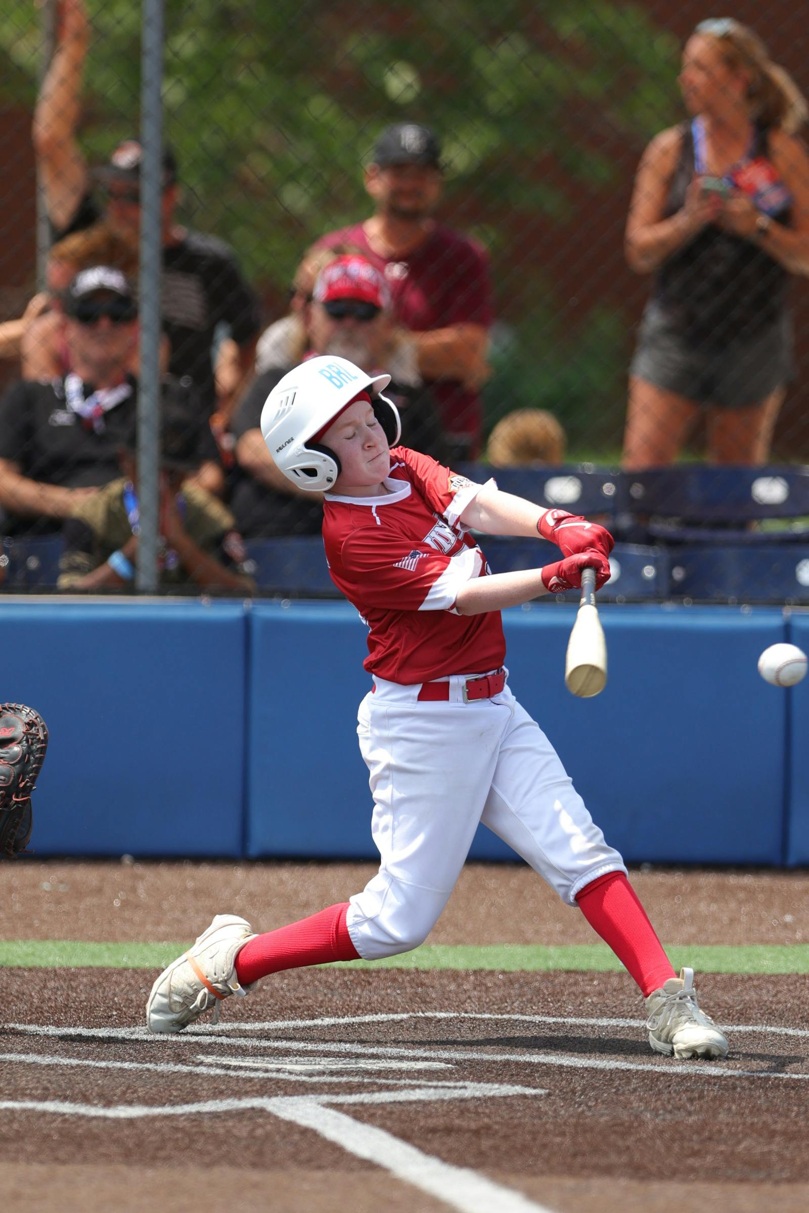 Bat Photos, Download The BEST Free Bat Stock Photos & HD Images