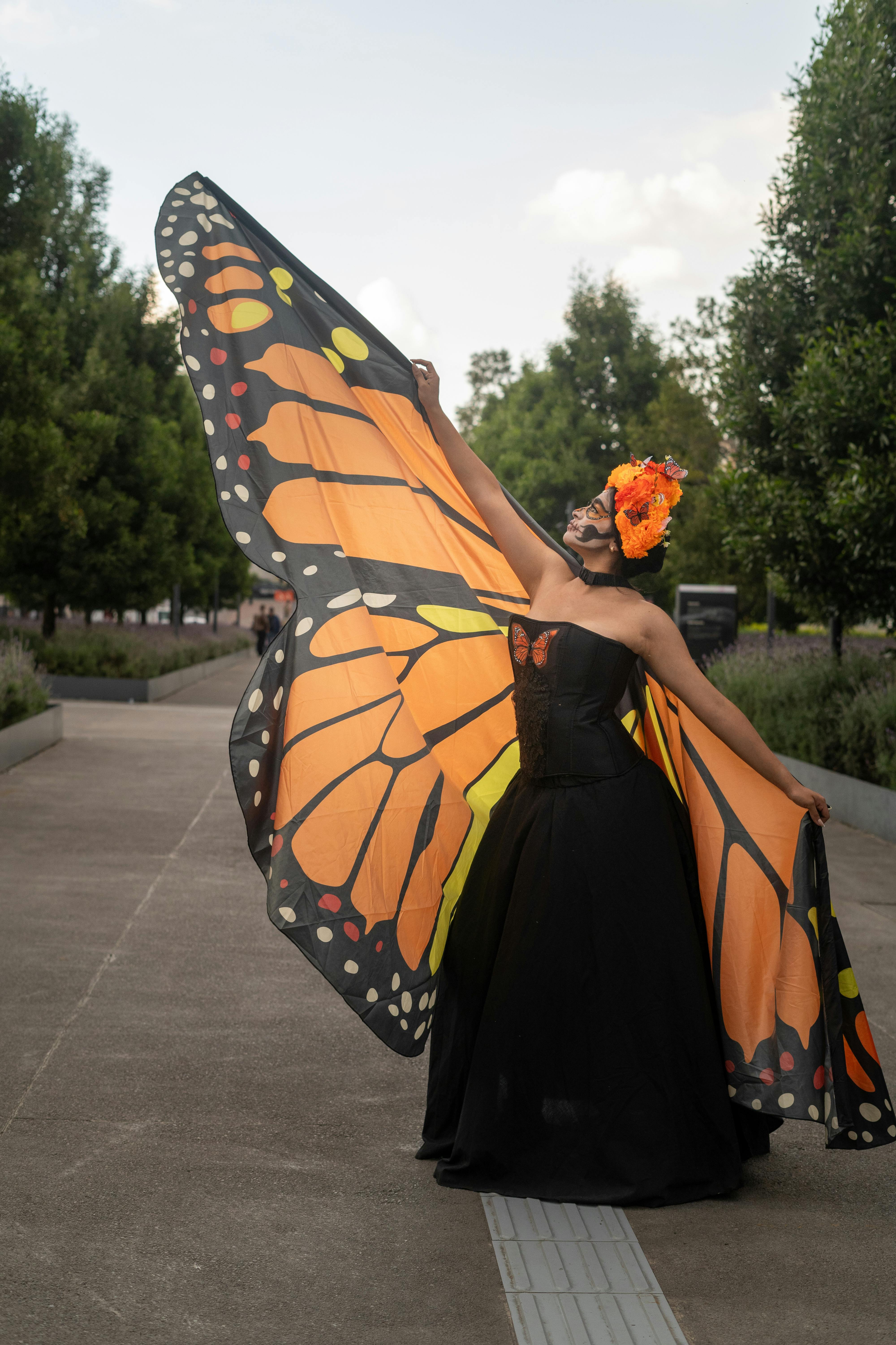 Grace Photos, Download The BEST Free Grace Stock Photos & HD Images