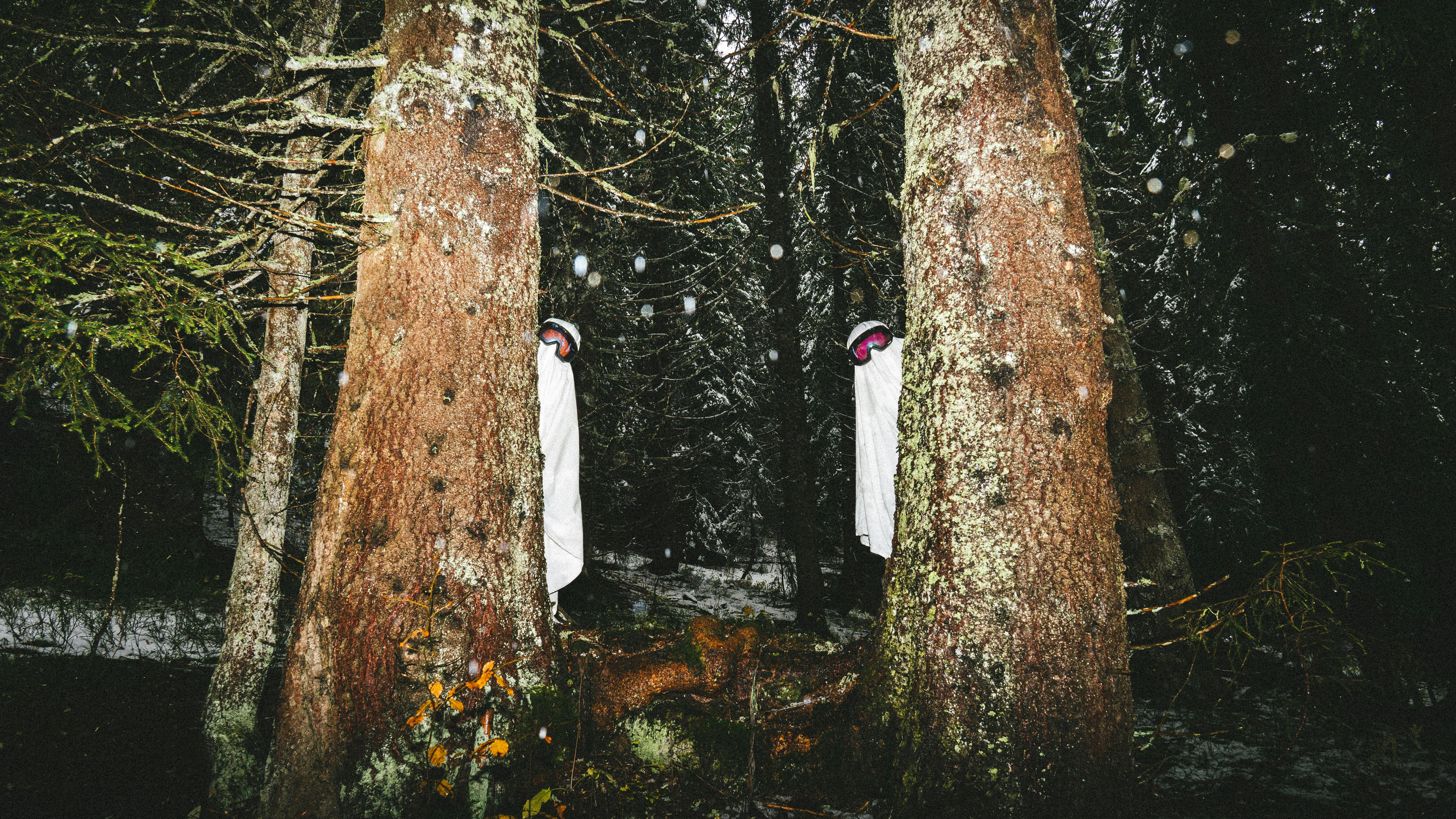 Spooky Forest Photos, Download The BEST Free Spooky Forest Stock Photos ...
