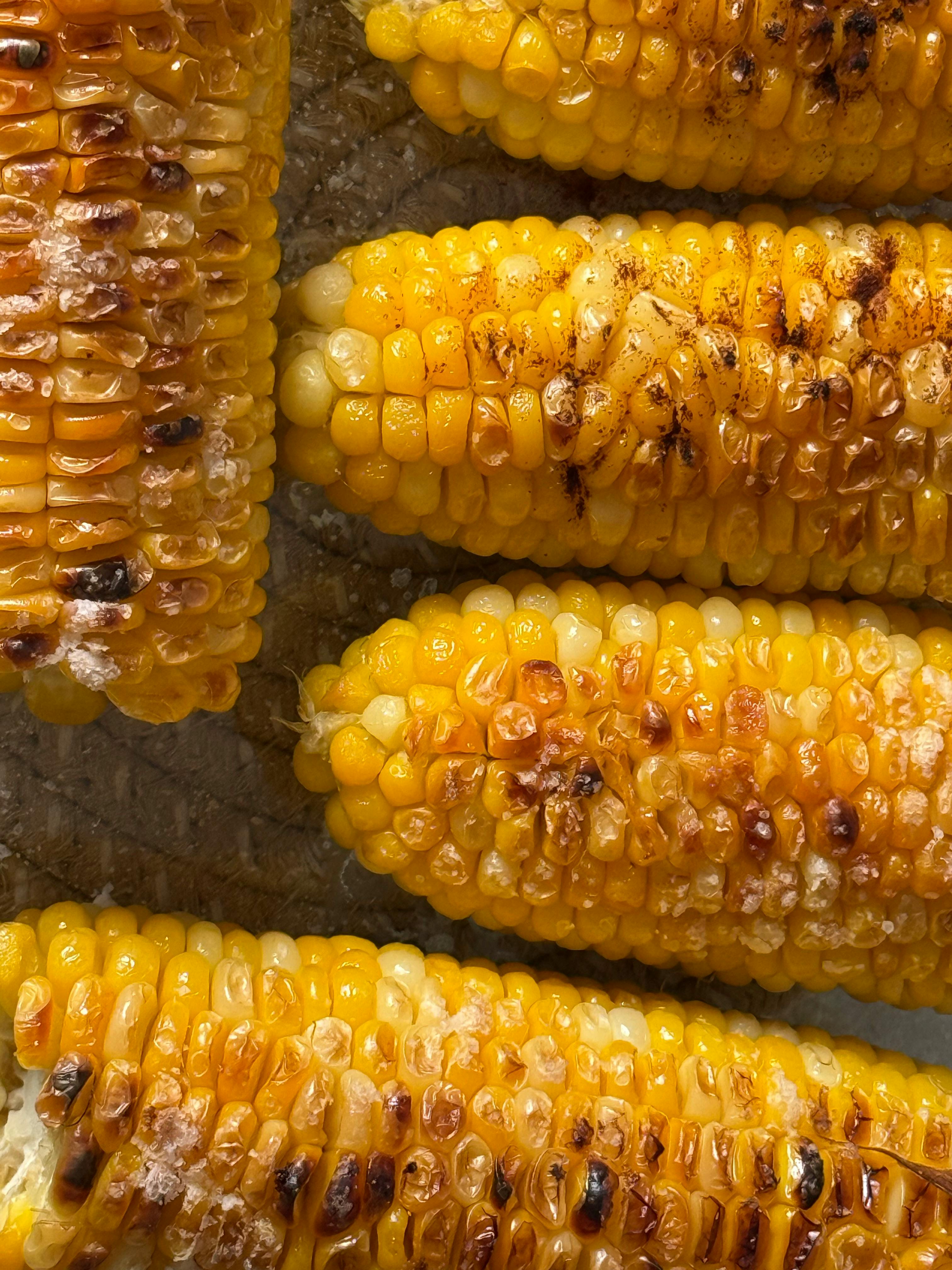 Close-up of Grilled Corn on the Cob with Butter · Free Stock Photo