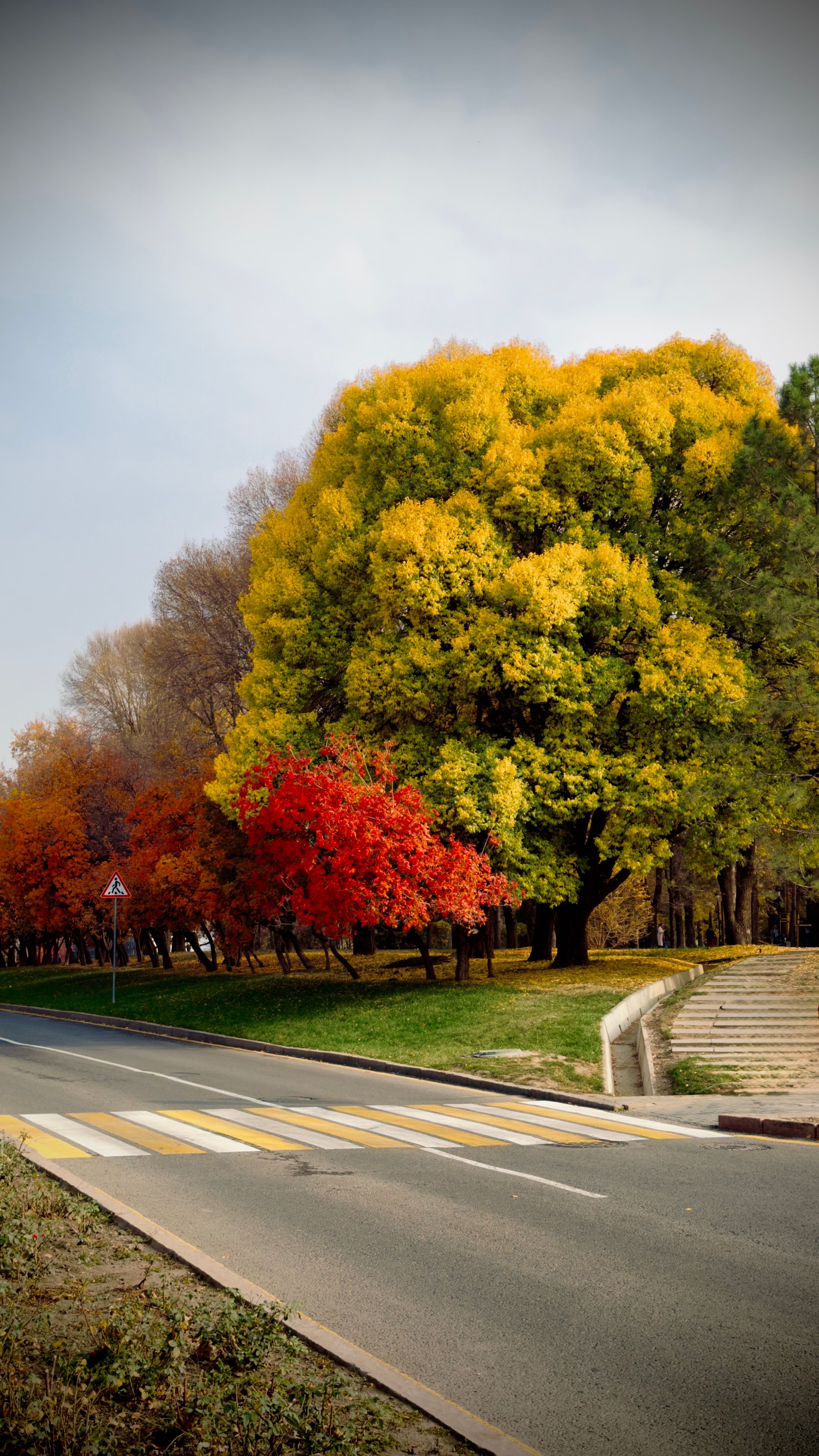Autumn Street Scene in Almaty, Kazakhstan · Free Stock Photo