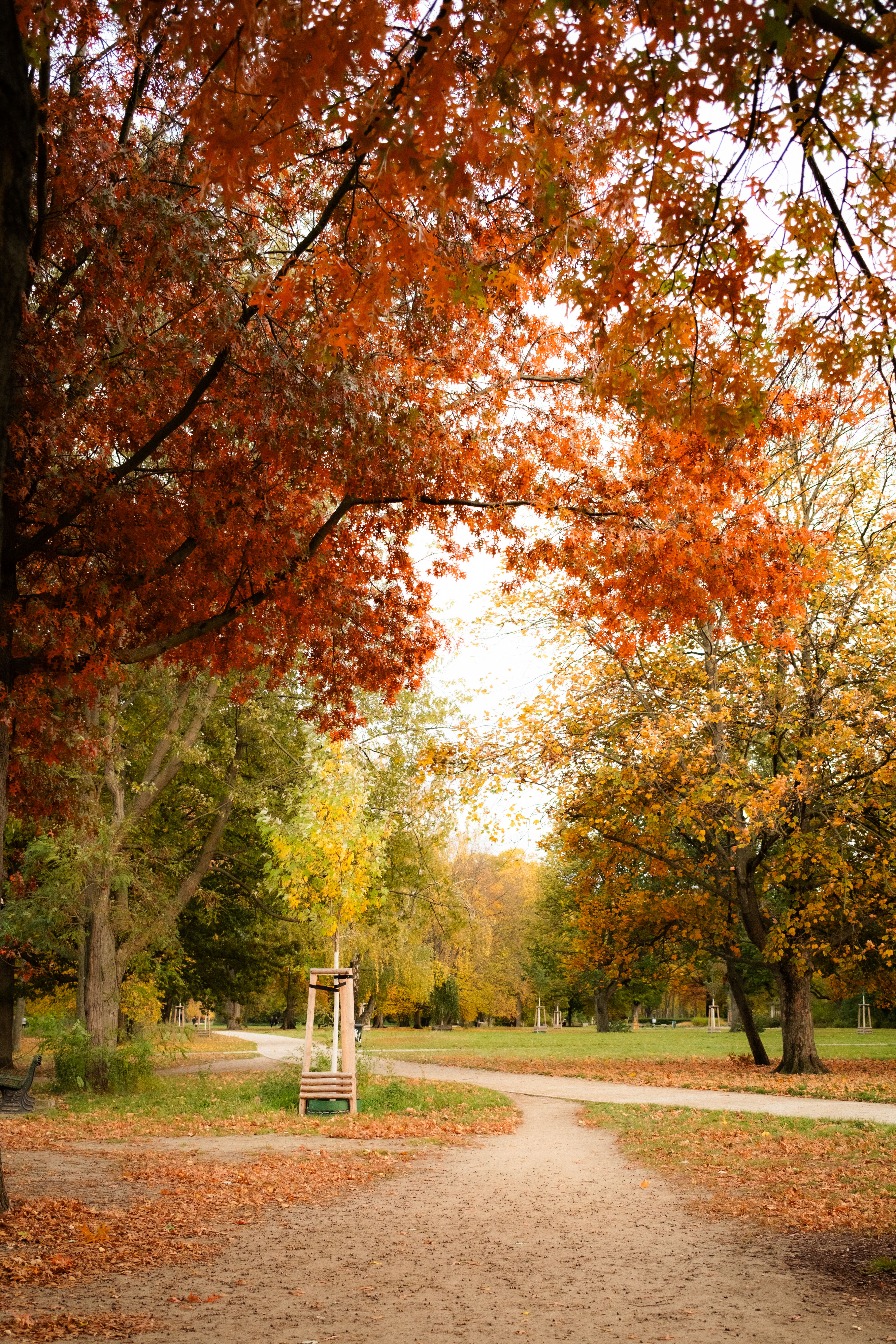 Picturesque Autumn Park in Berlin's Scenic Landscape · Free Stock Photo