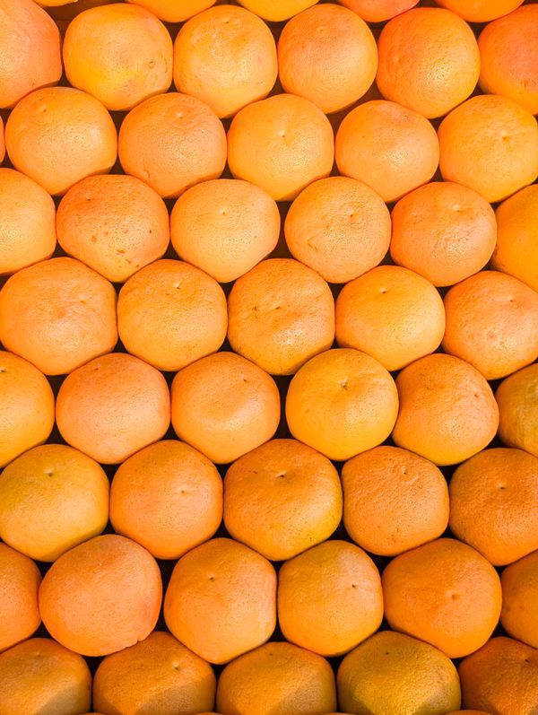 Florida Oranges Photos, Download The BEST Free Florida Oranges Stock ...