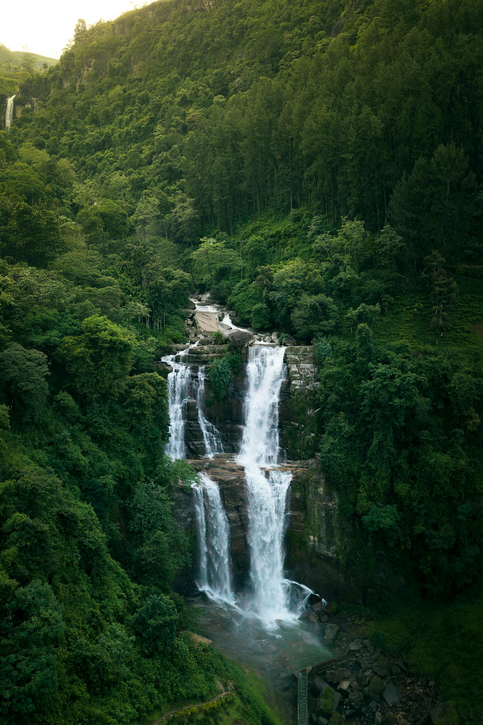 Rainforest Waterfall Photos, Download The BEST Free Rainforest ...
