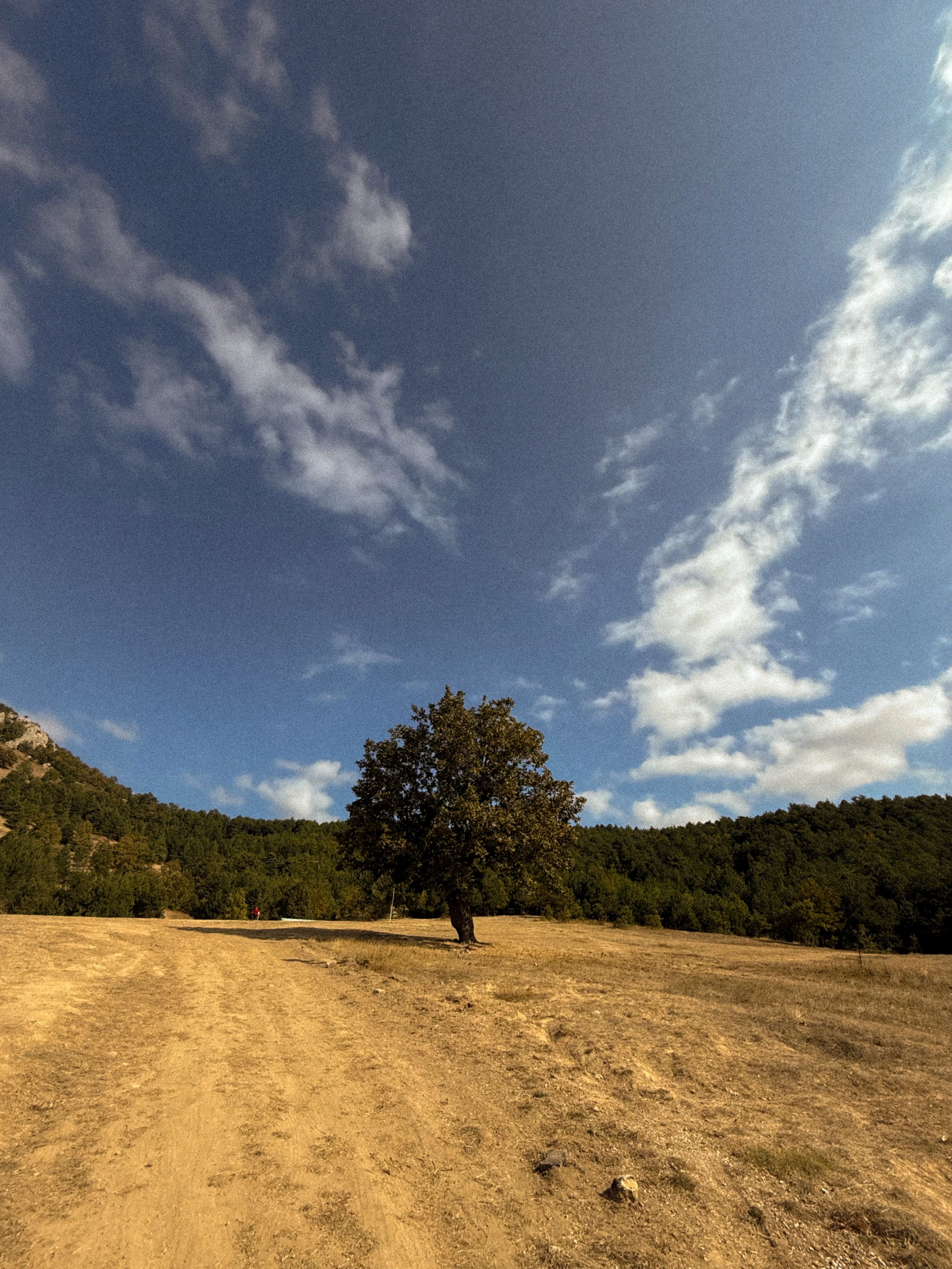 Simple Landscapes Photos, Download The BEST Free Simple Landscapes ...