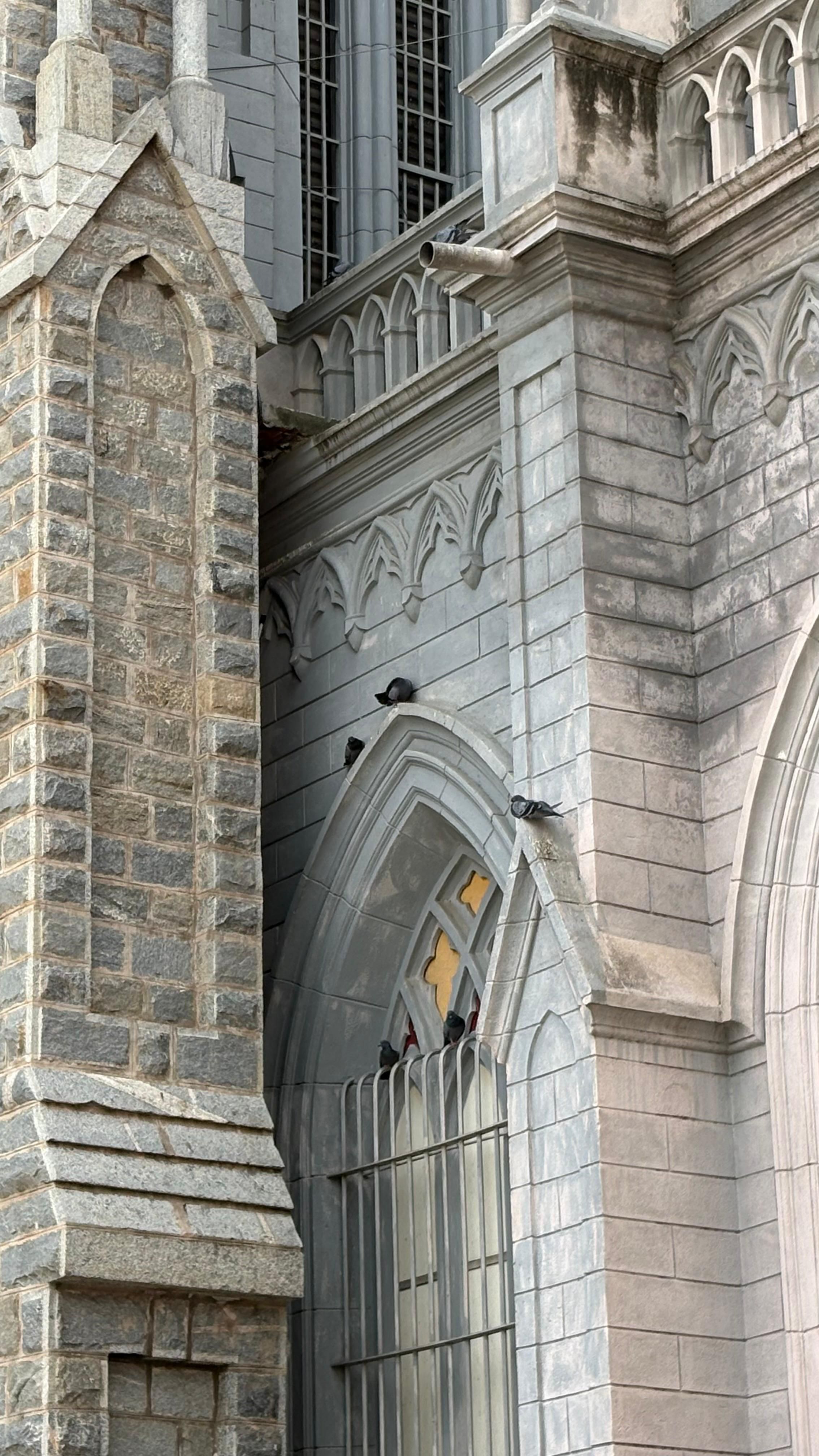 Gothic Architecture with Birds on Stone Facade · Free Stock Photo