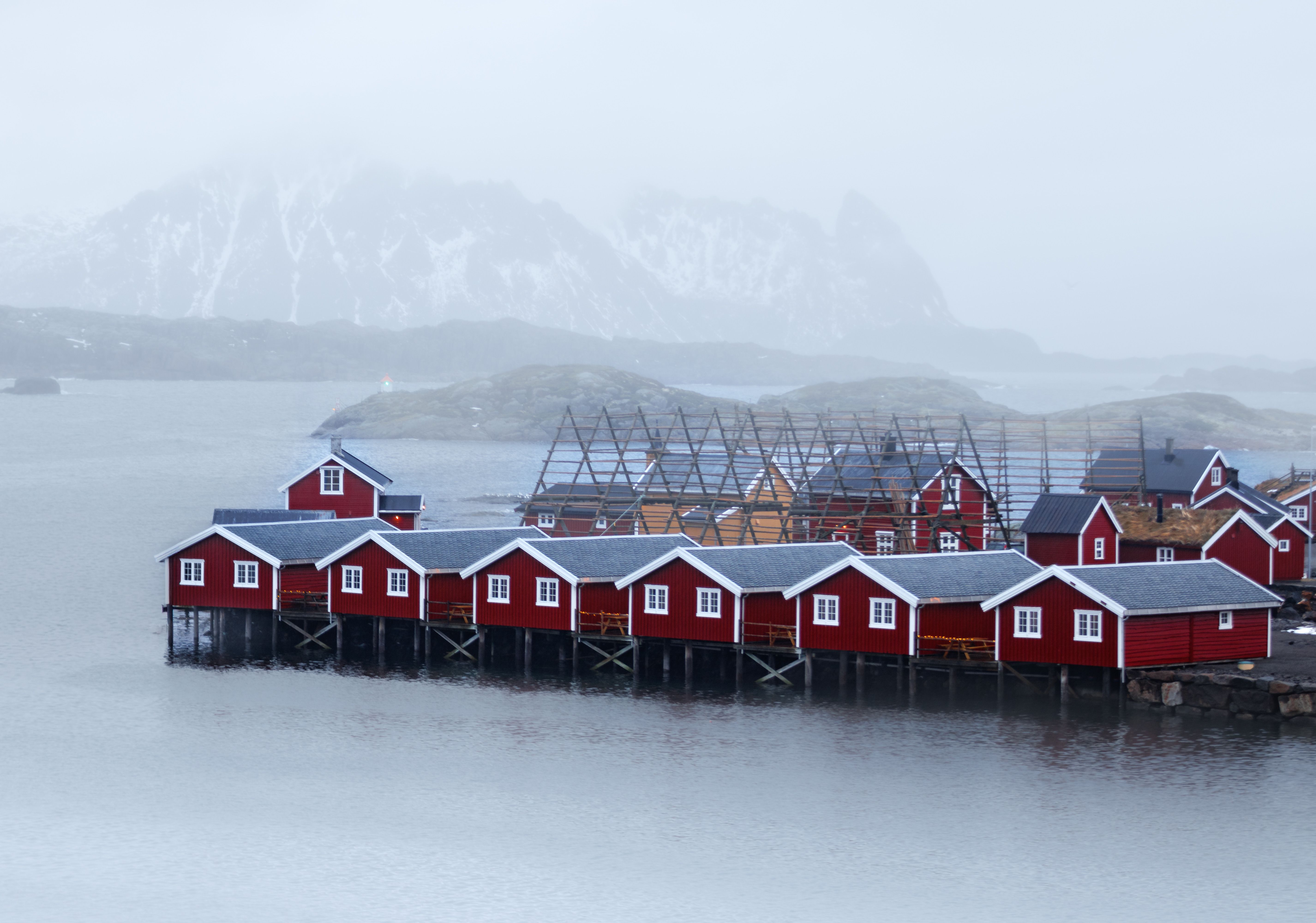Red Norwegian cabins by the misty fjord · Free Stock Photo