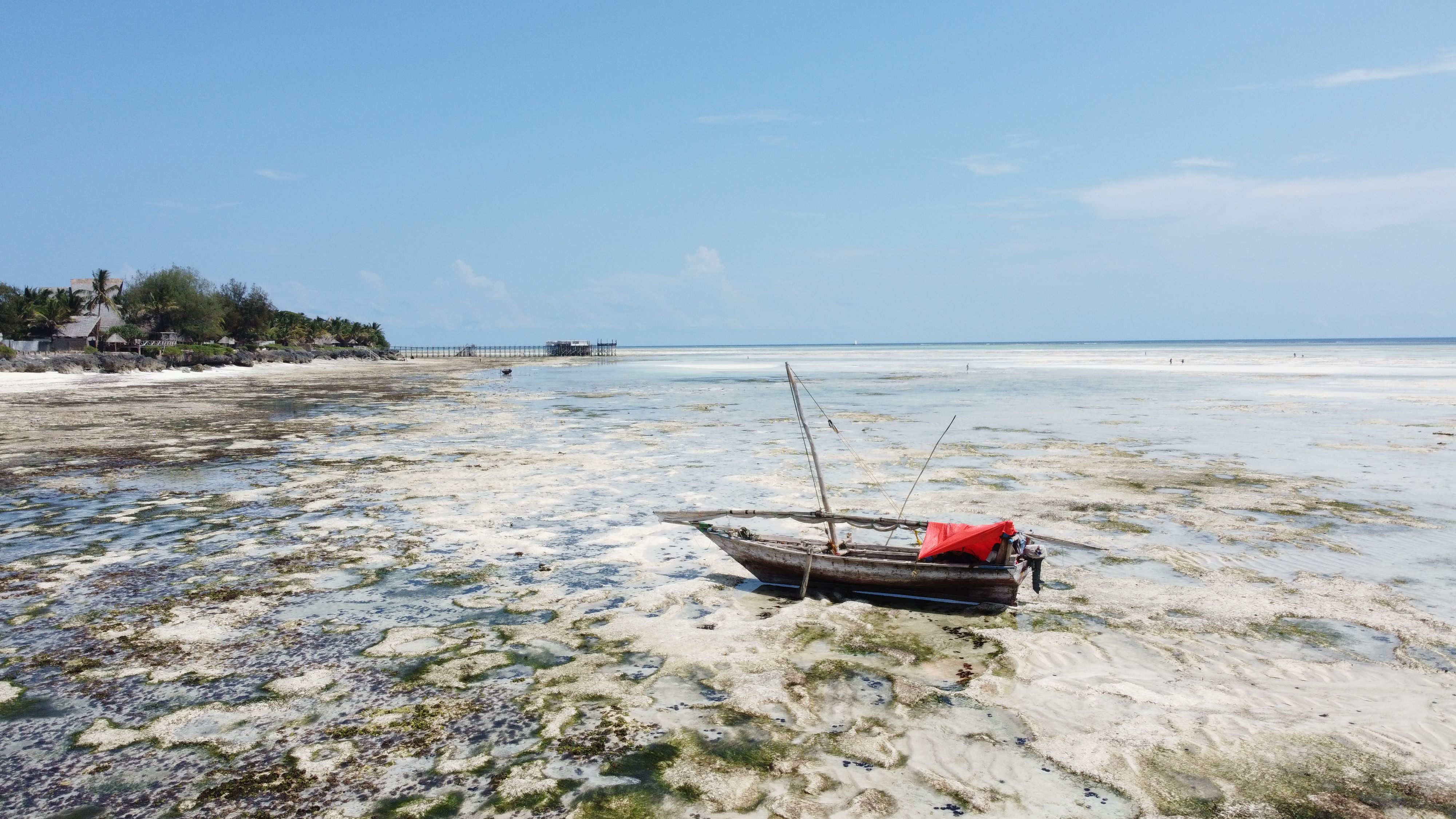 Stranded Boat at Low Tide in Zanzibar · Free Stock Photo