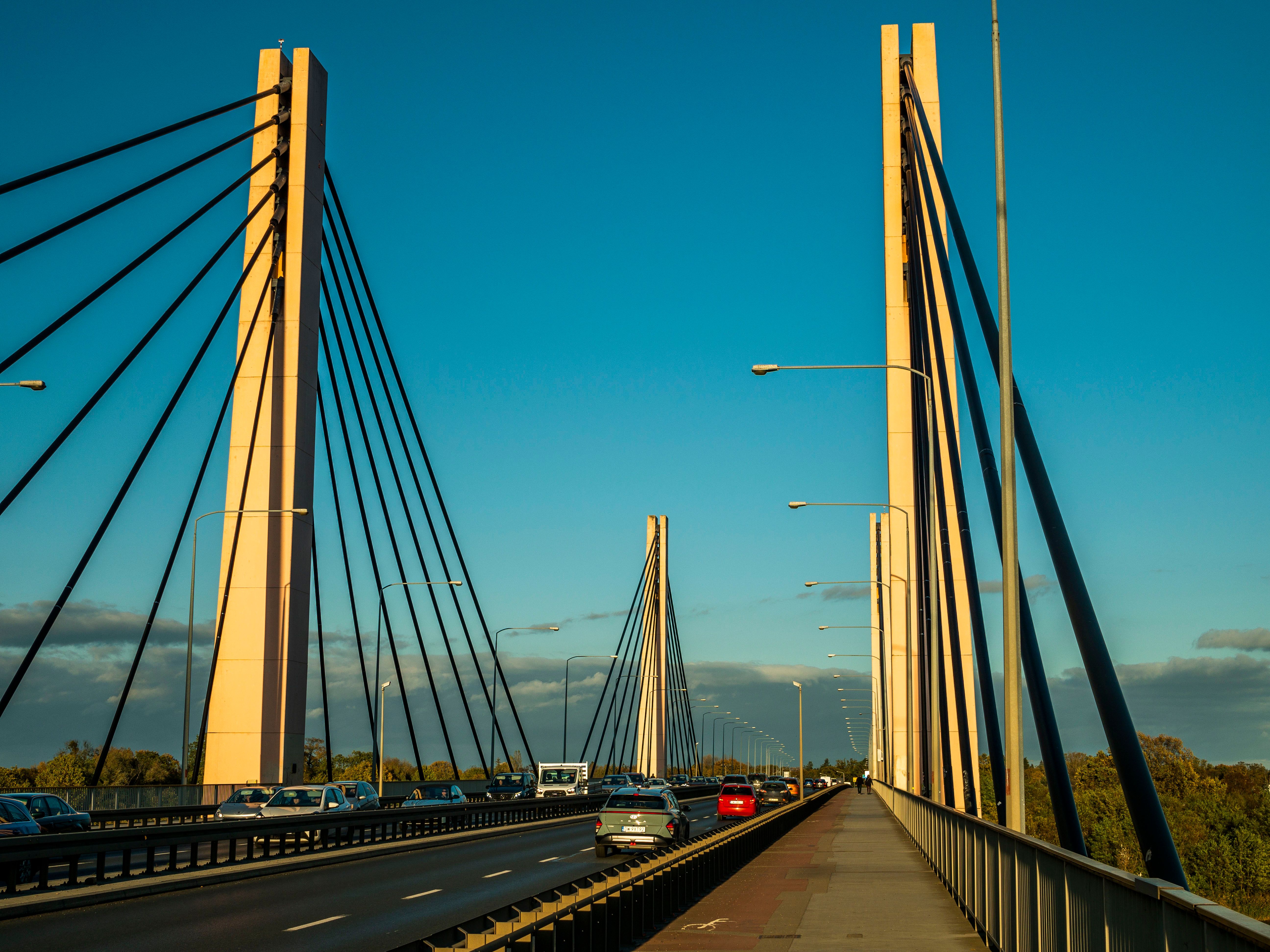 Modern Cable-Stayed Bridge with Traffic During Day · Free Stock Photo