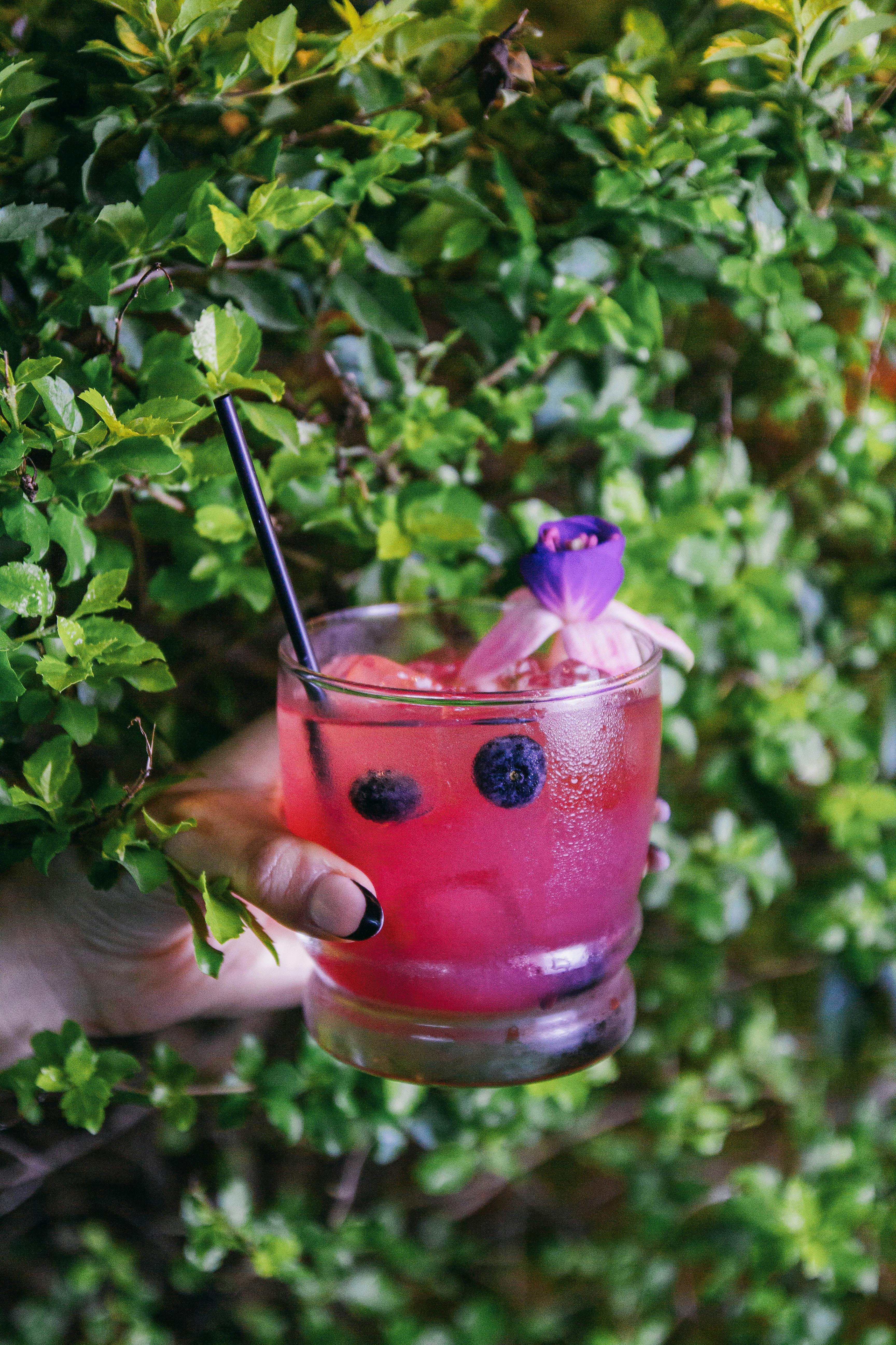 Green+Pfp Photos, Download The BEST Free Green+Pfp Stock Photos & HD Images