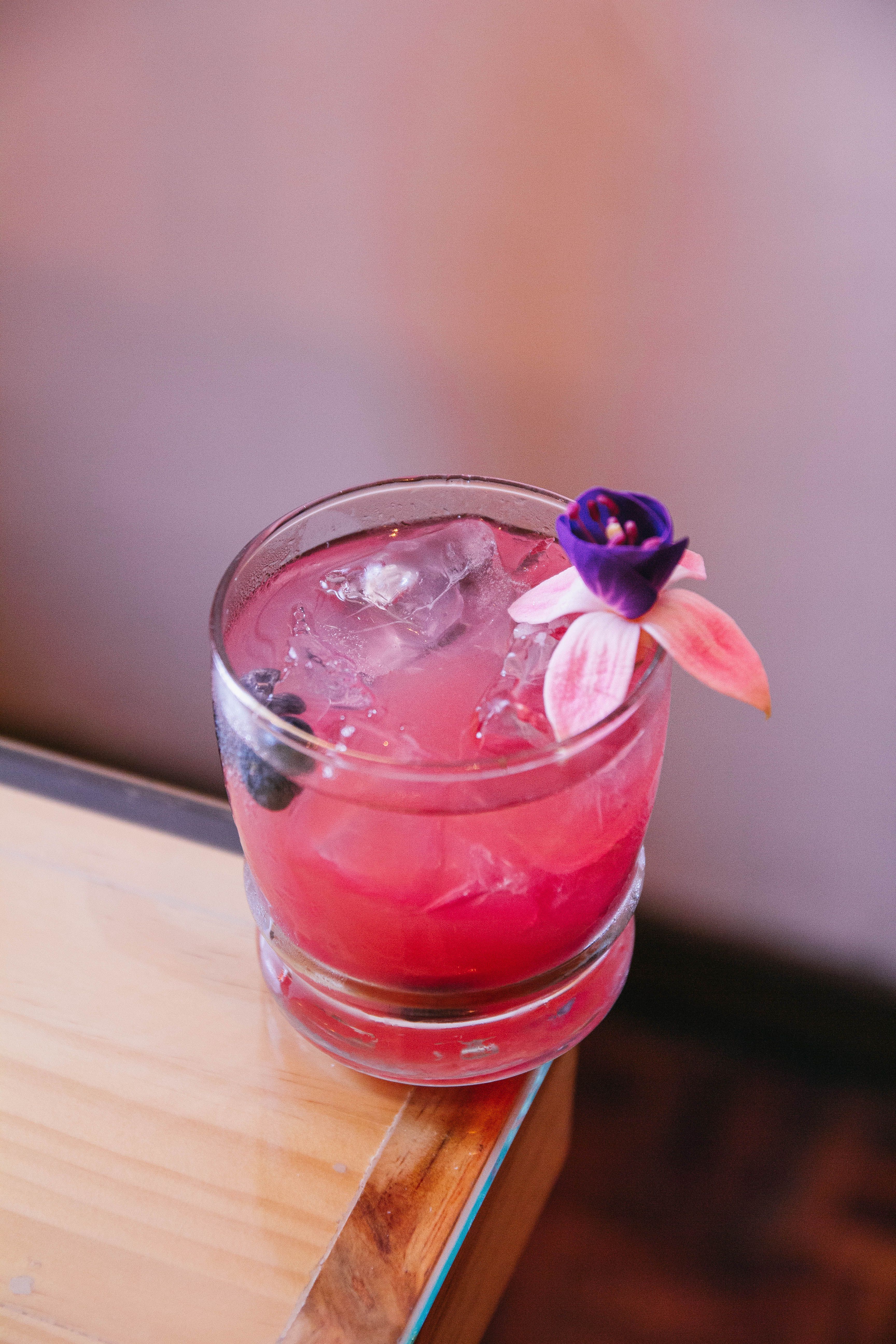 Refreshing Pink Cocktail with Floral Garnish · Free Stock Photo