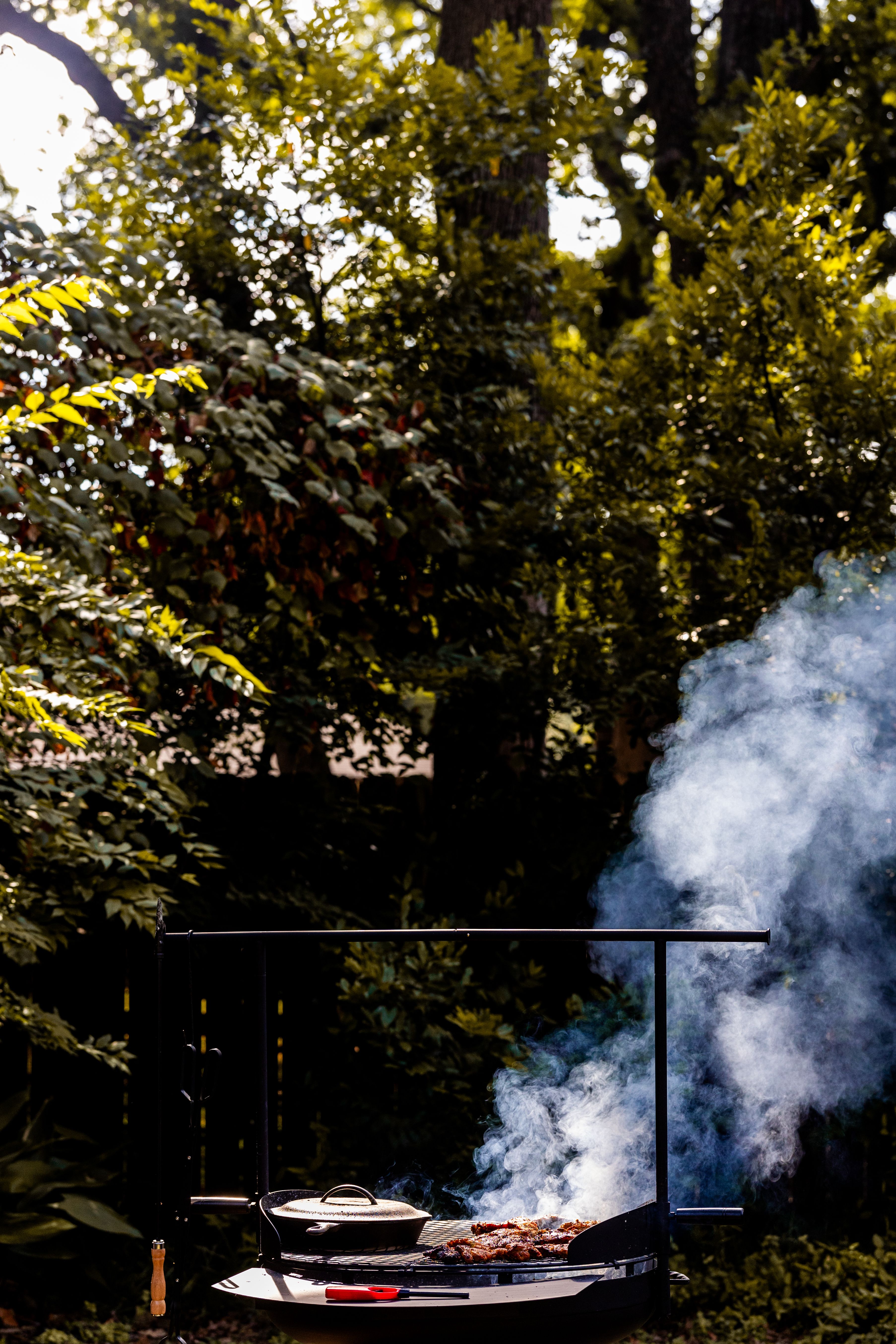 Outdoor Barbecue with Smoky Grill and Nature · Free Stock Photo
