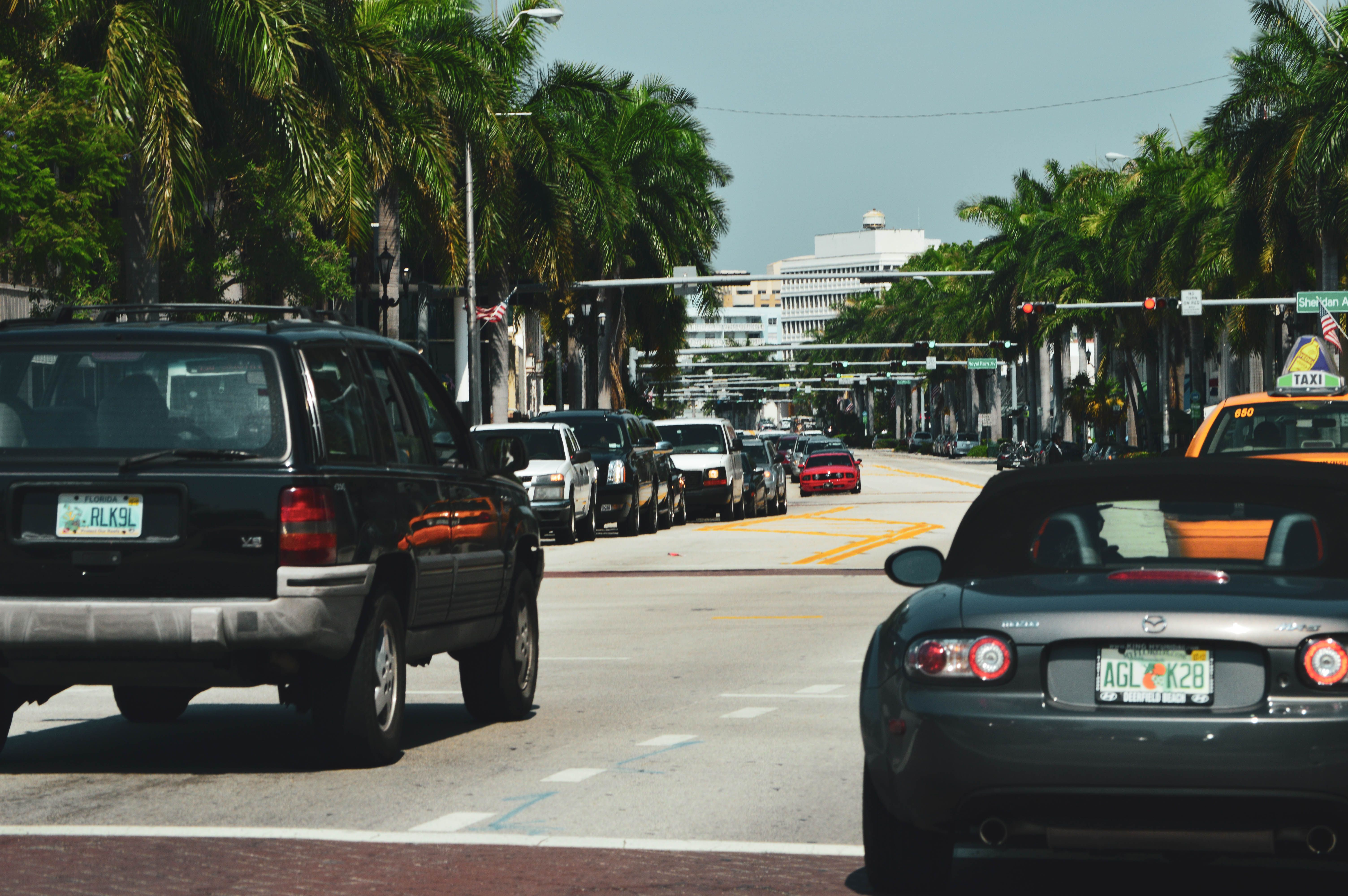 Busy Traffic Scene in Miami with Palm Trees · Free Stock Photo