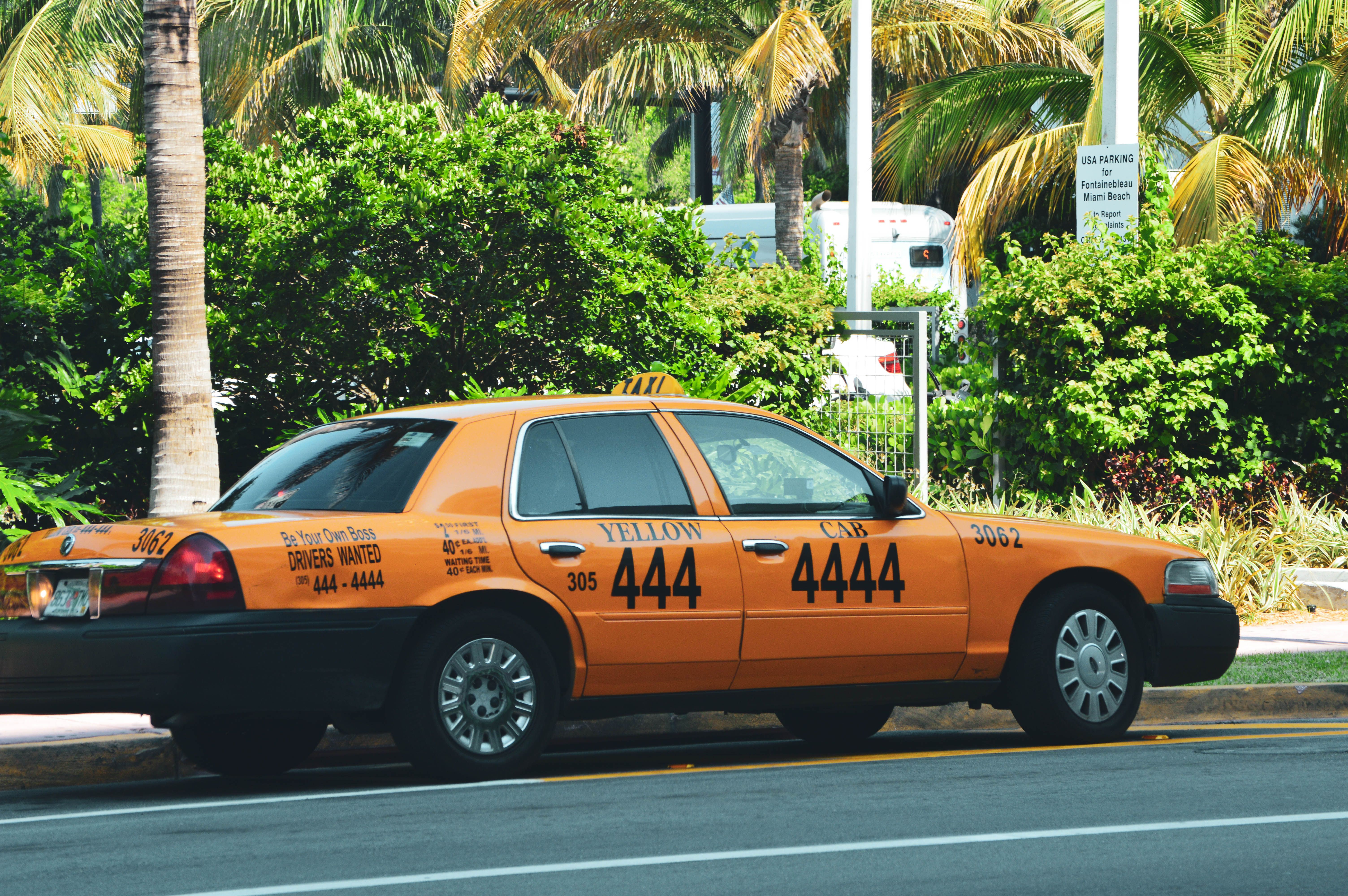 Yellow Taxi on Miami Street with Lush Palms · Free Stock Photo