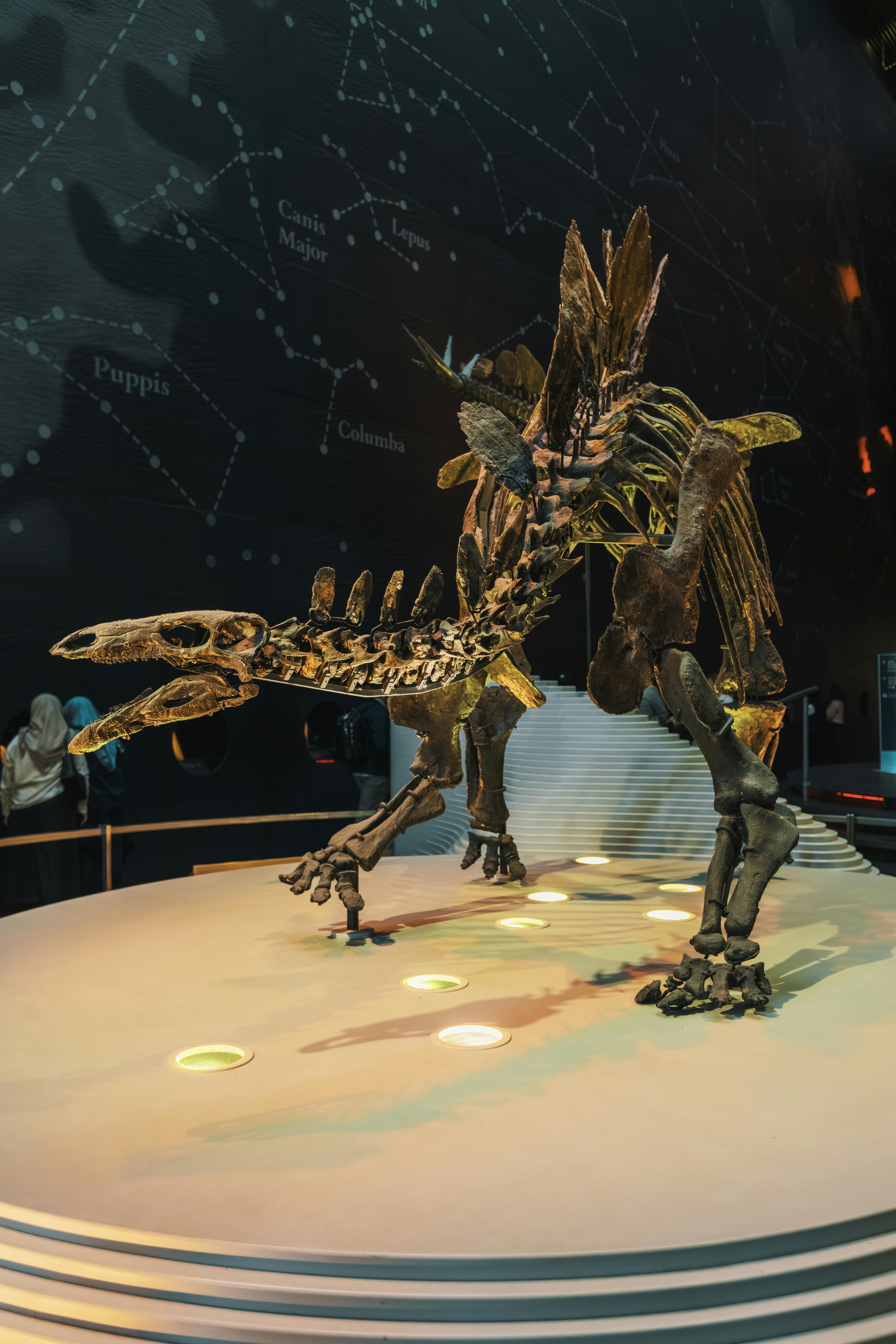 Ramon Dino Photos, Download The BEST Free Ramon Dino Stock Photos & HD ...