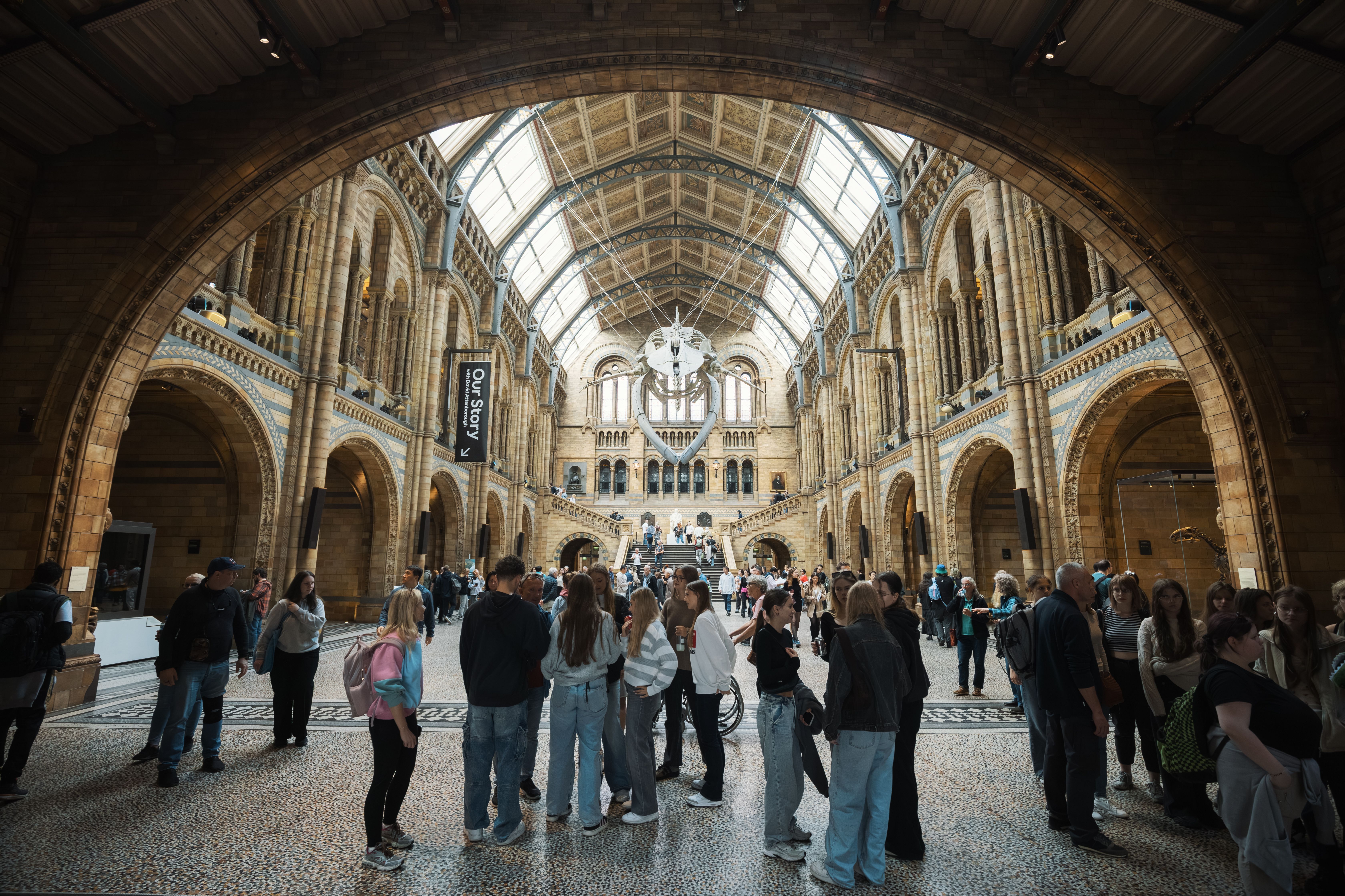 Vibrant Crowd in Natural History Museum London · Free Stock Photo