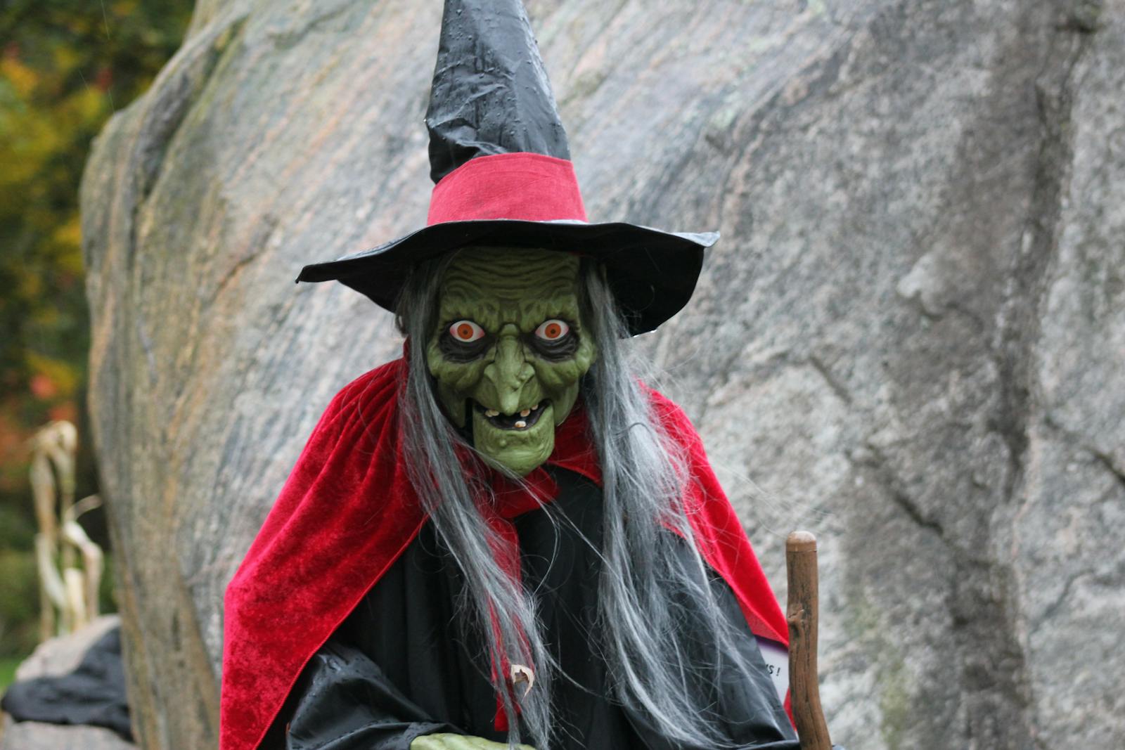 Witch Faces Photos, Download The BEST Free Witch Faces Stock Photos ...