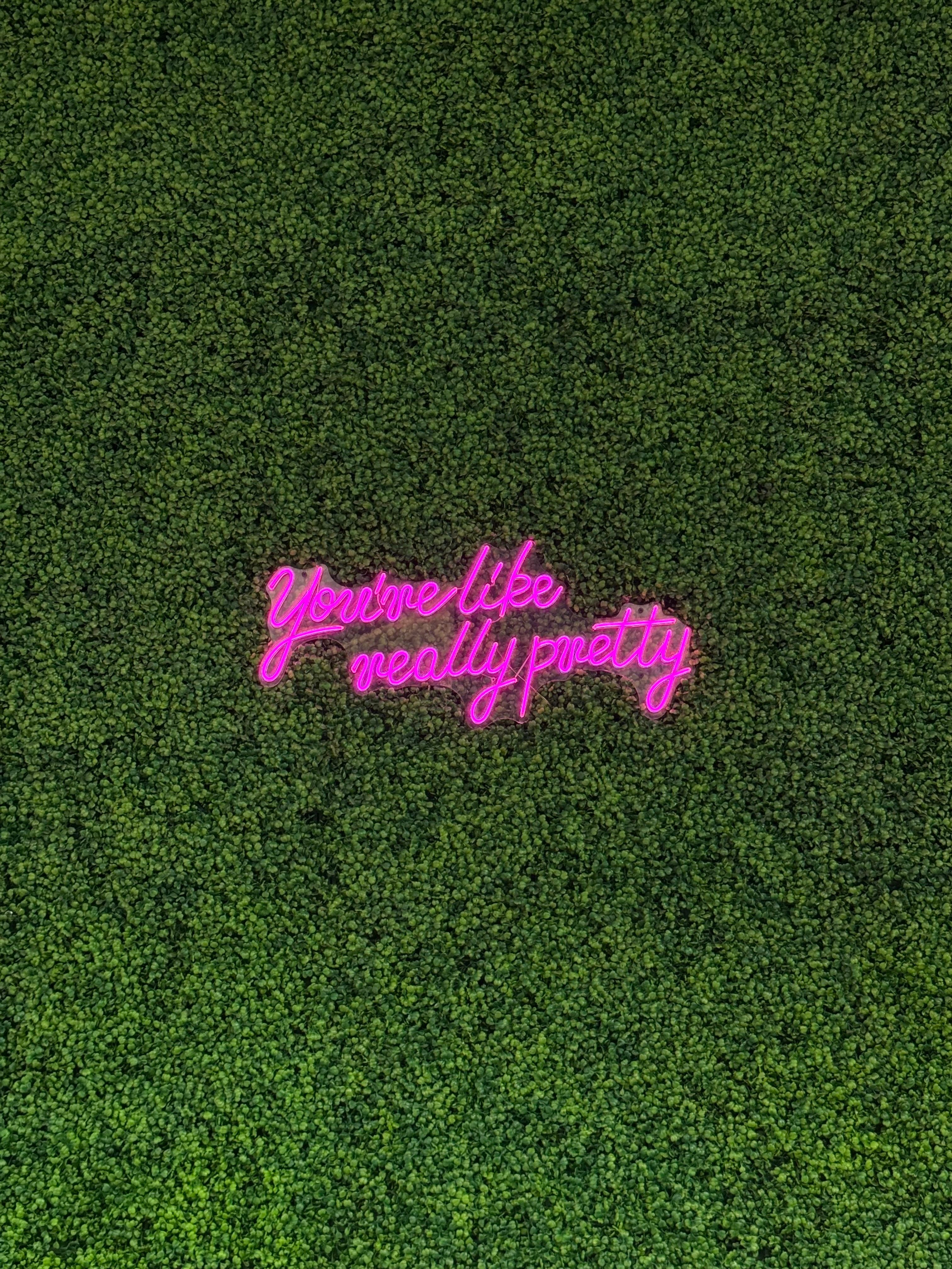 Vibrant Neon Sign on Greenery Background · Free Stock Photo