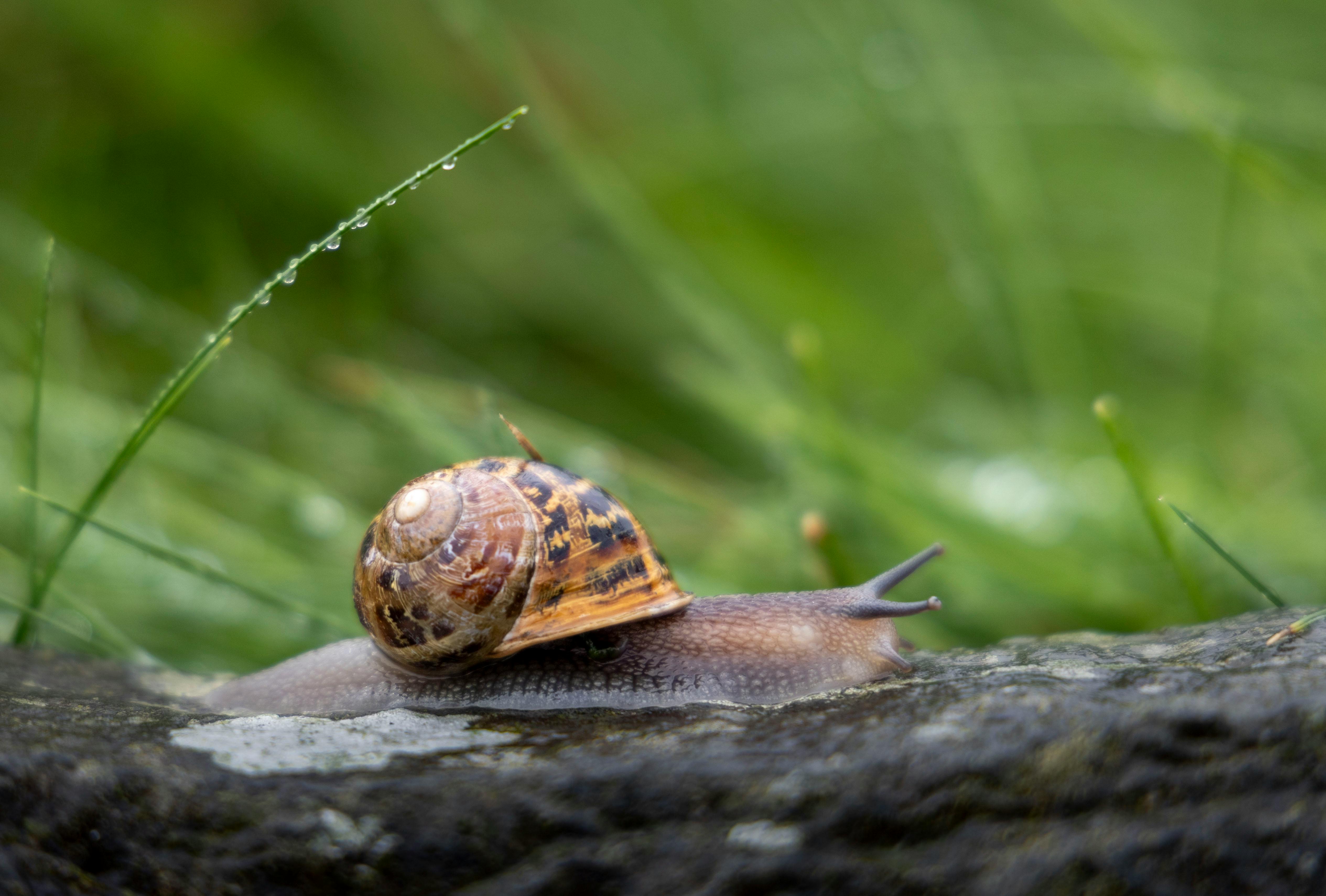 Humidity Photos, Download The BEST Free Humidity Stock Photos & HD Images
