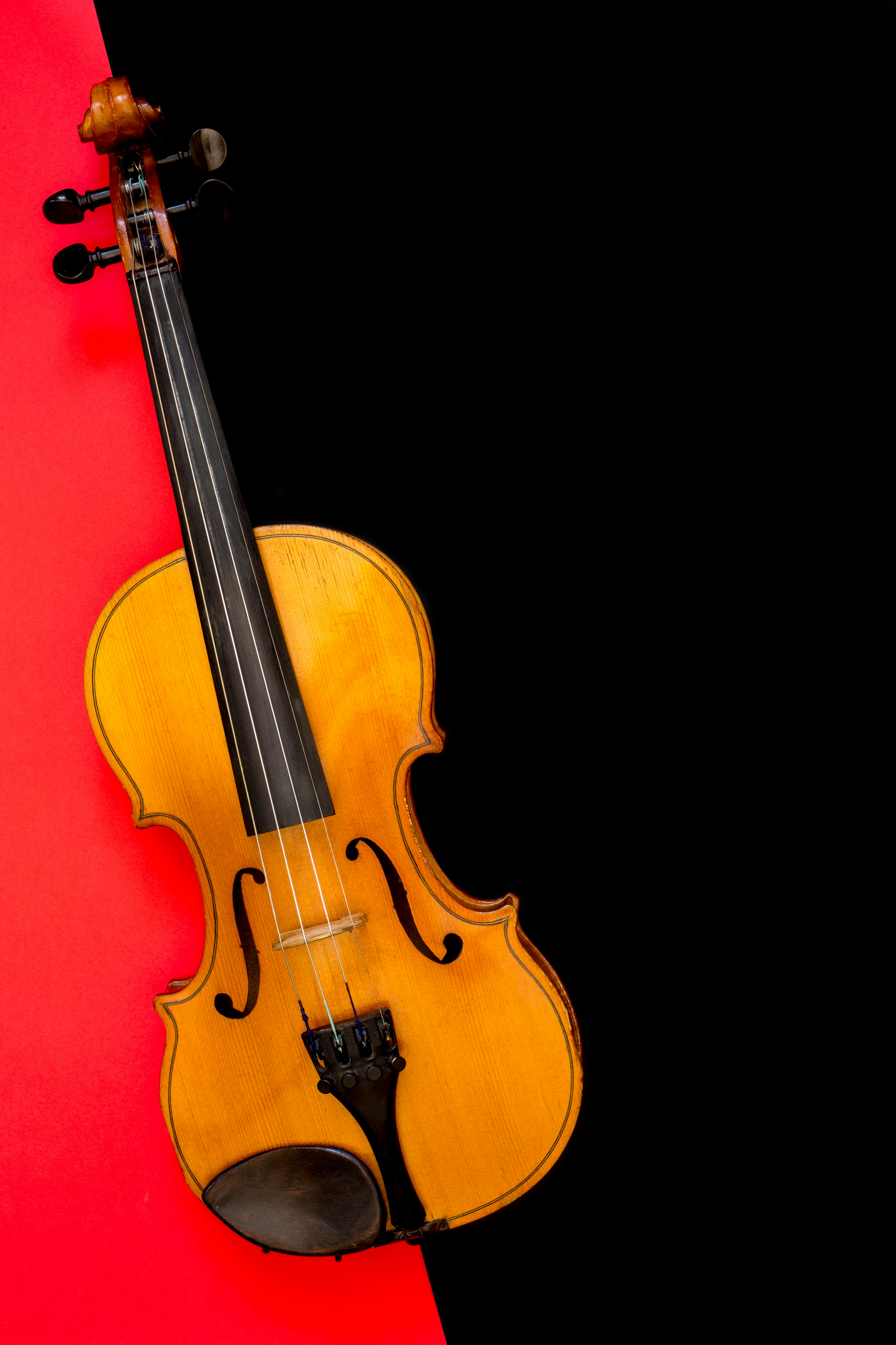 Fiddle Photos, Download The BEST Free Fiddle Stock Photos & HD Images